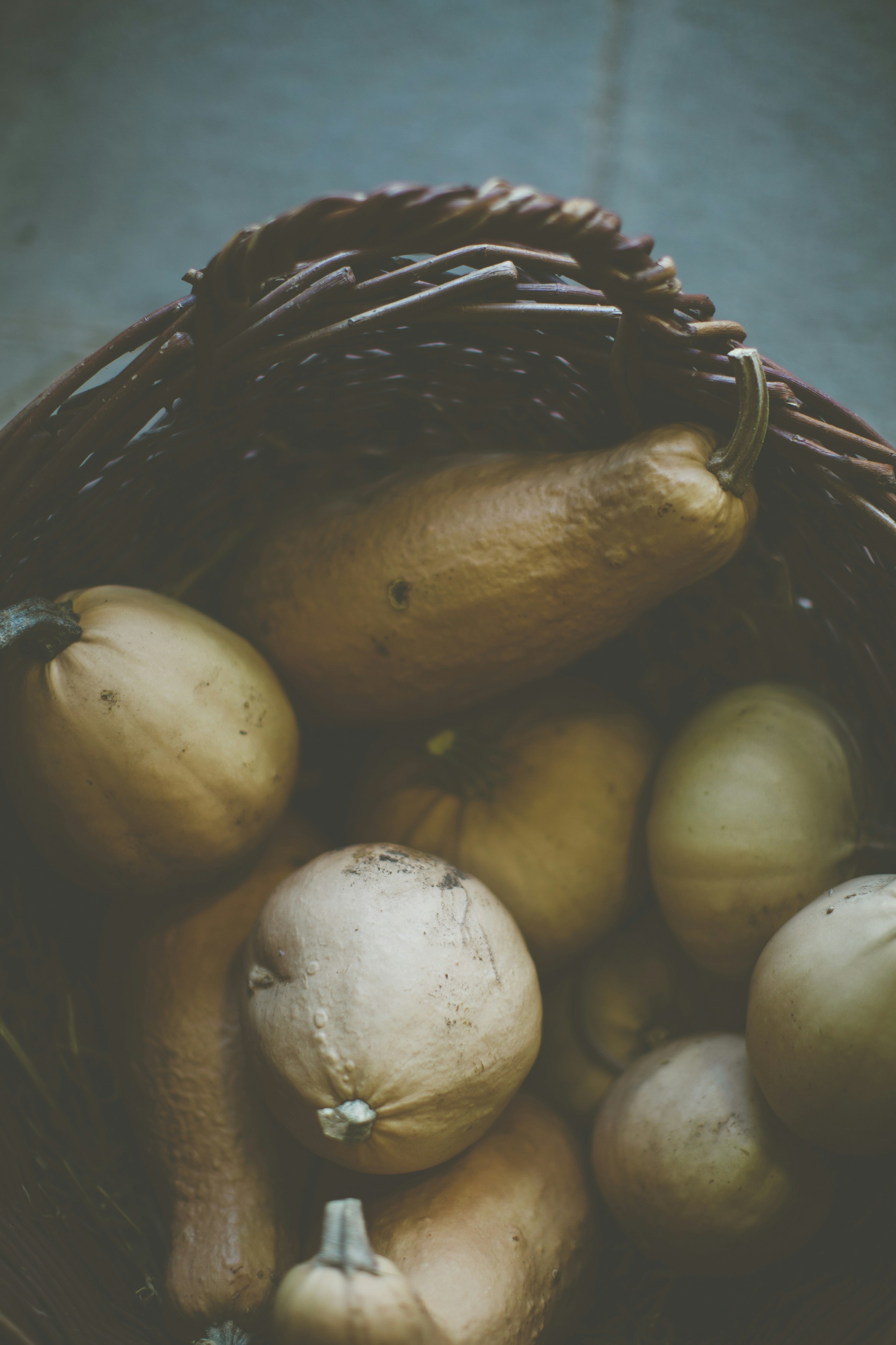 Calabash Pictures | Download Free Images on Unsplash