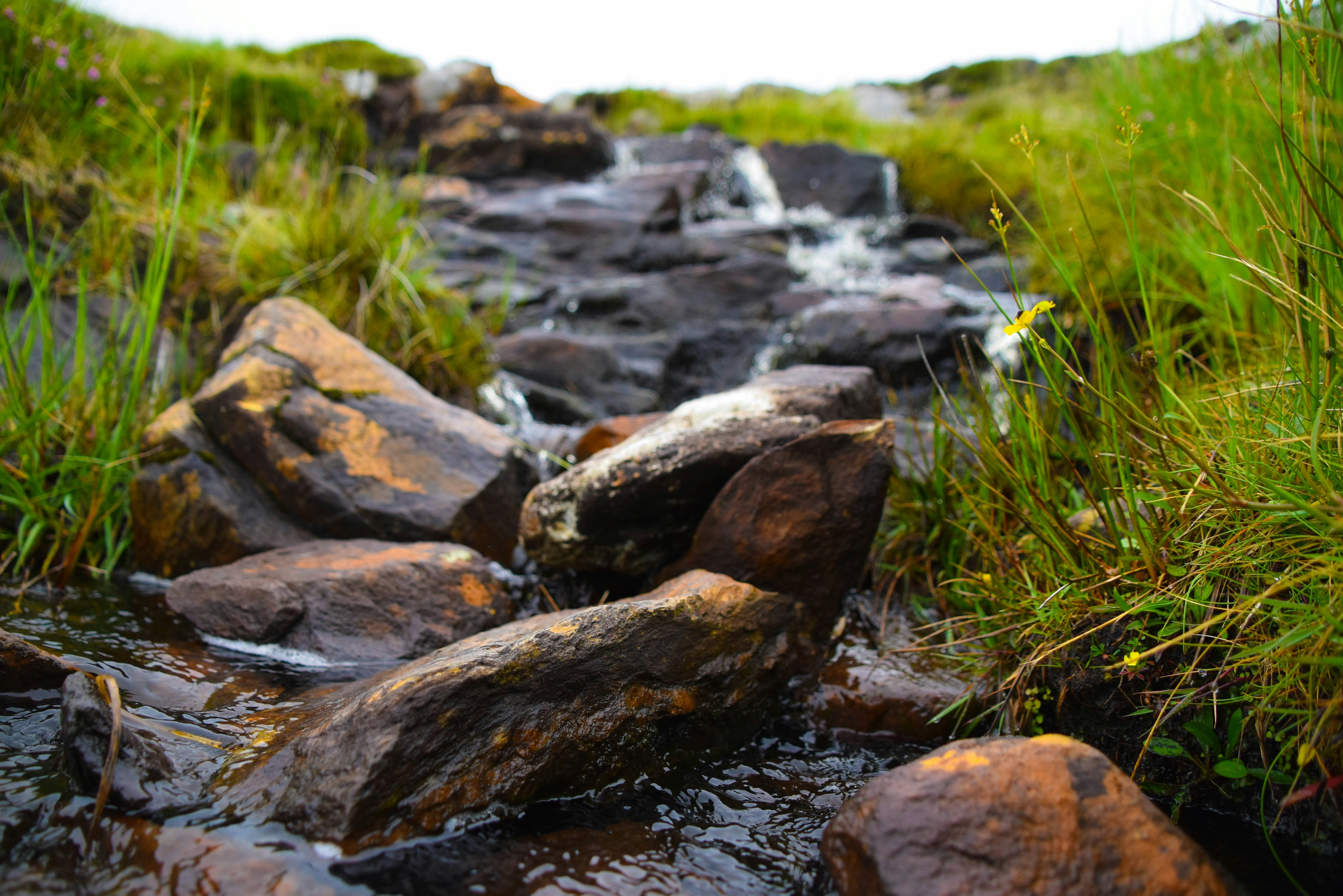 Close-up photography of river during daytime photo – Free Irlande Image ...
