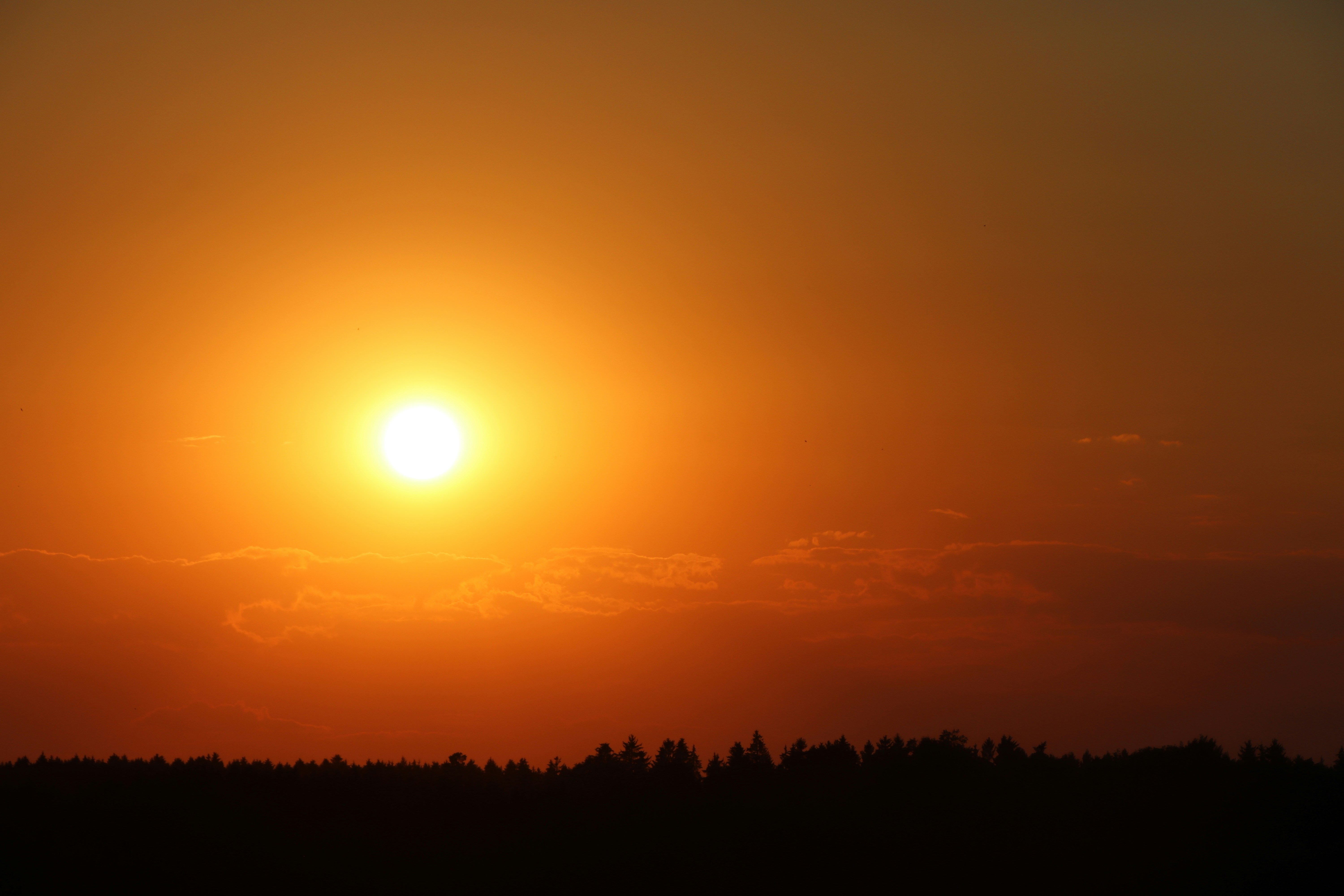 Low-angle photography of yellow sky photo – Free Nature Image on Unsplash