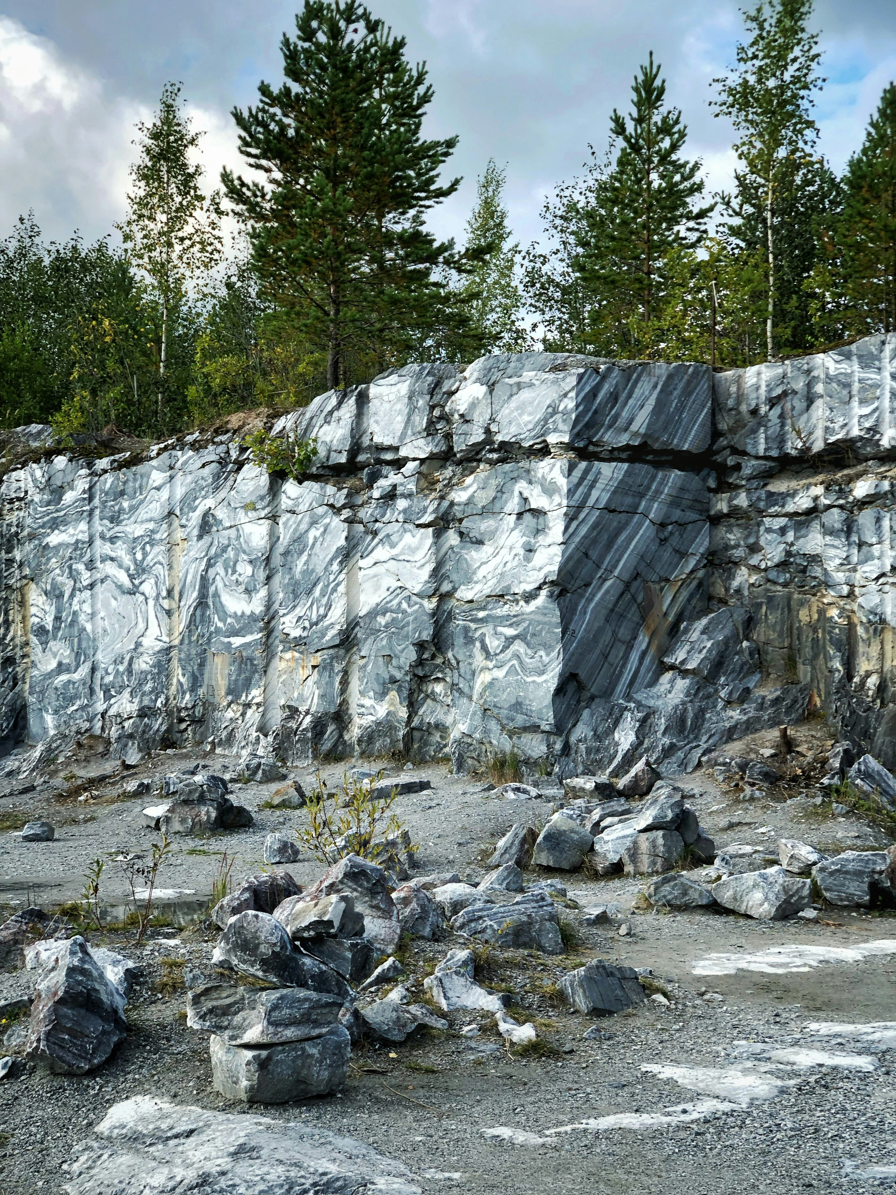 Intricate patterns of gray marble rock face in a quarry, surrounded by scattered stones and sparse vegetation. A glimpse into the geological artistry of nature.