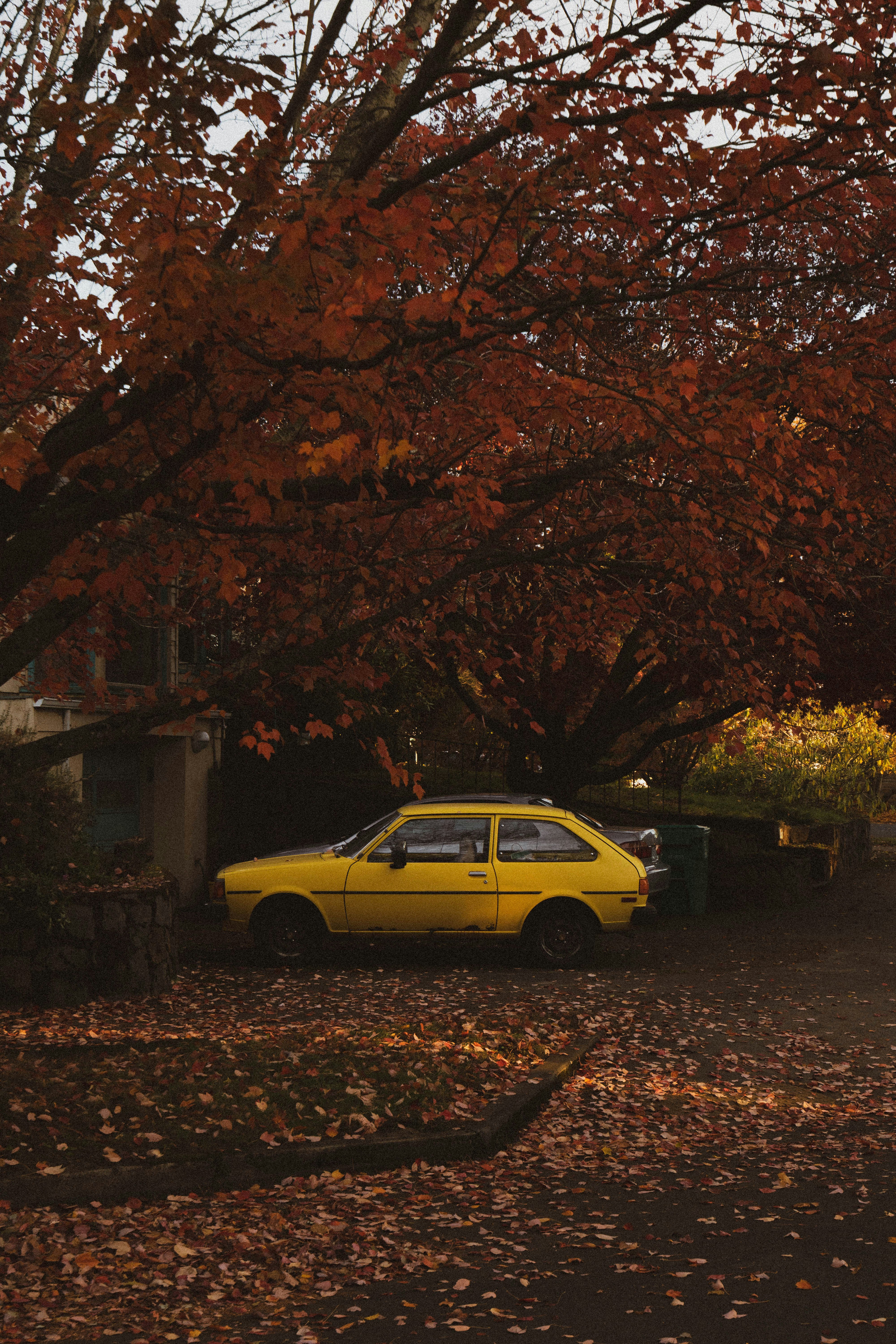A yellow hatchback sits under a canopy of autumn leaves, car and street scene bathed in warm, low light with fallen foliage littering the ground.