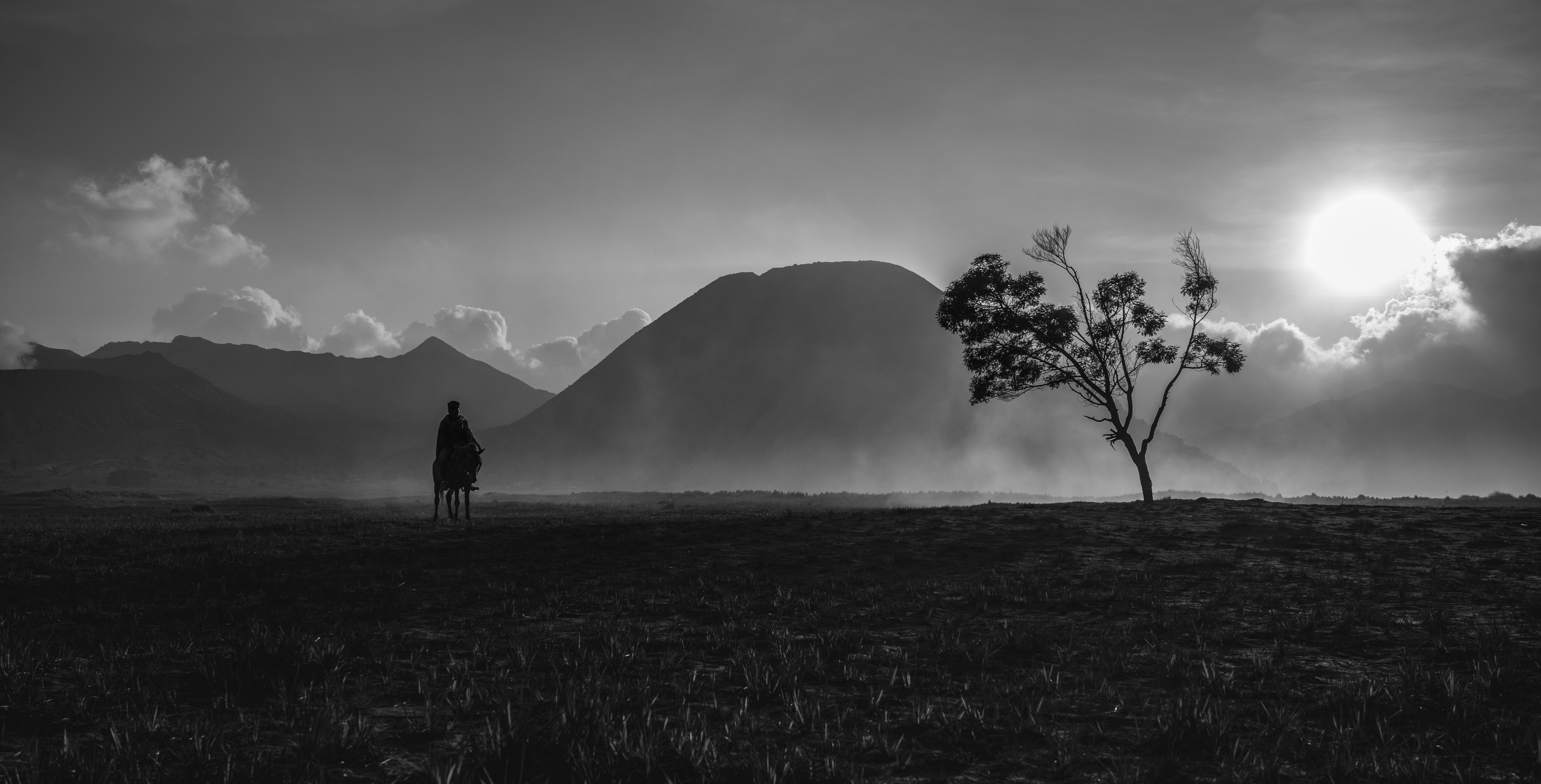 Traveler in a Misty Plains under a Distant Peak