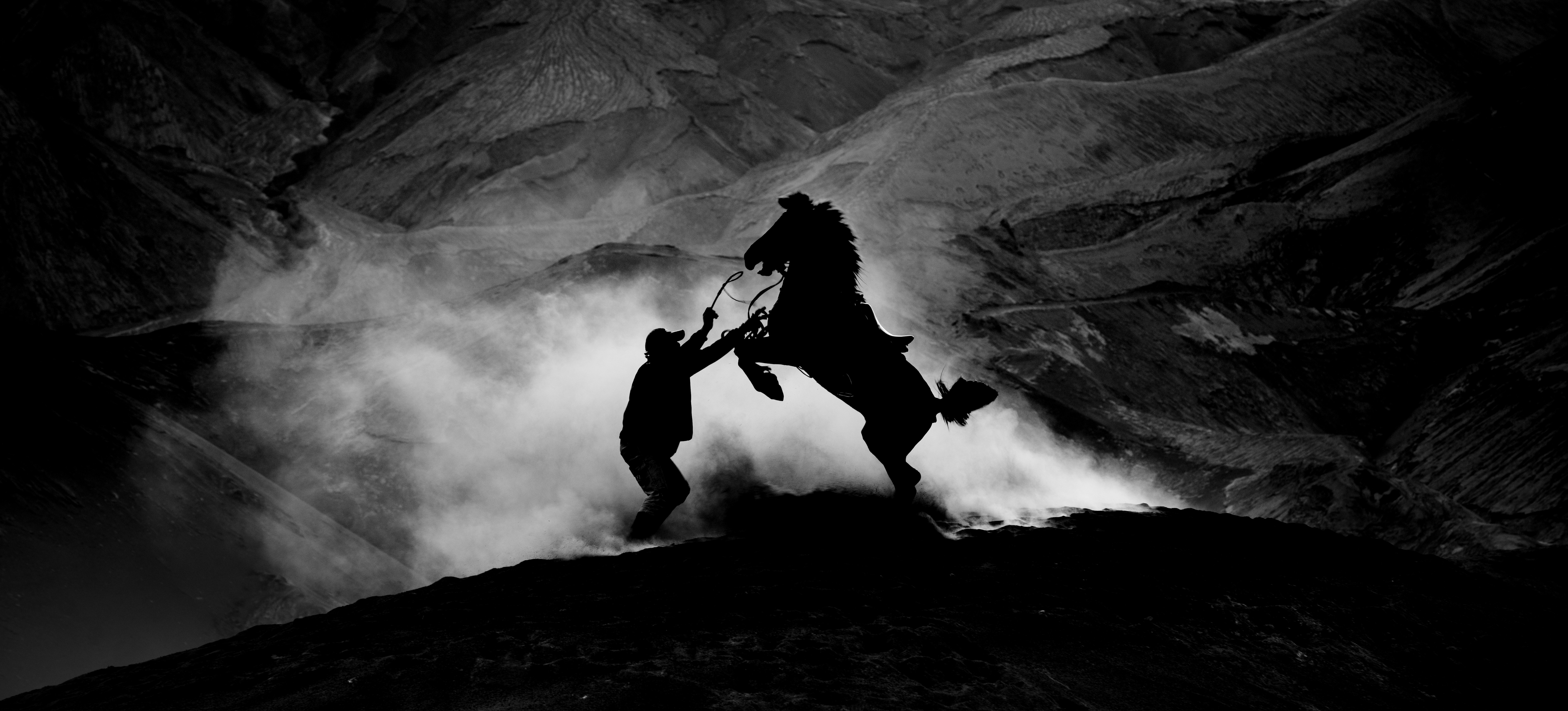 how to train your ferrari | silhouette of man and horse wallpaper