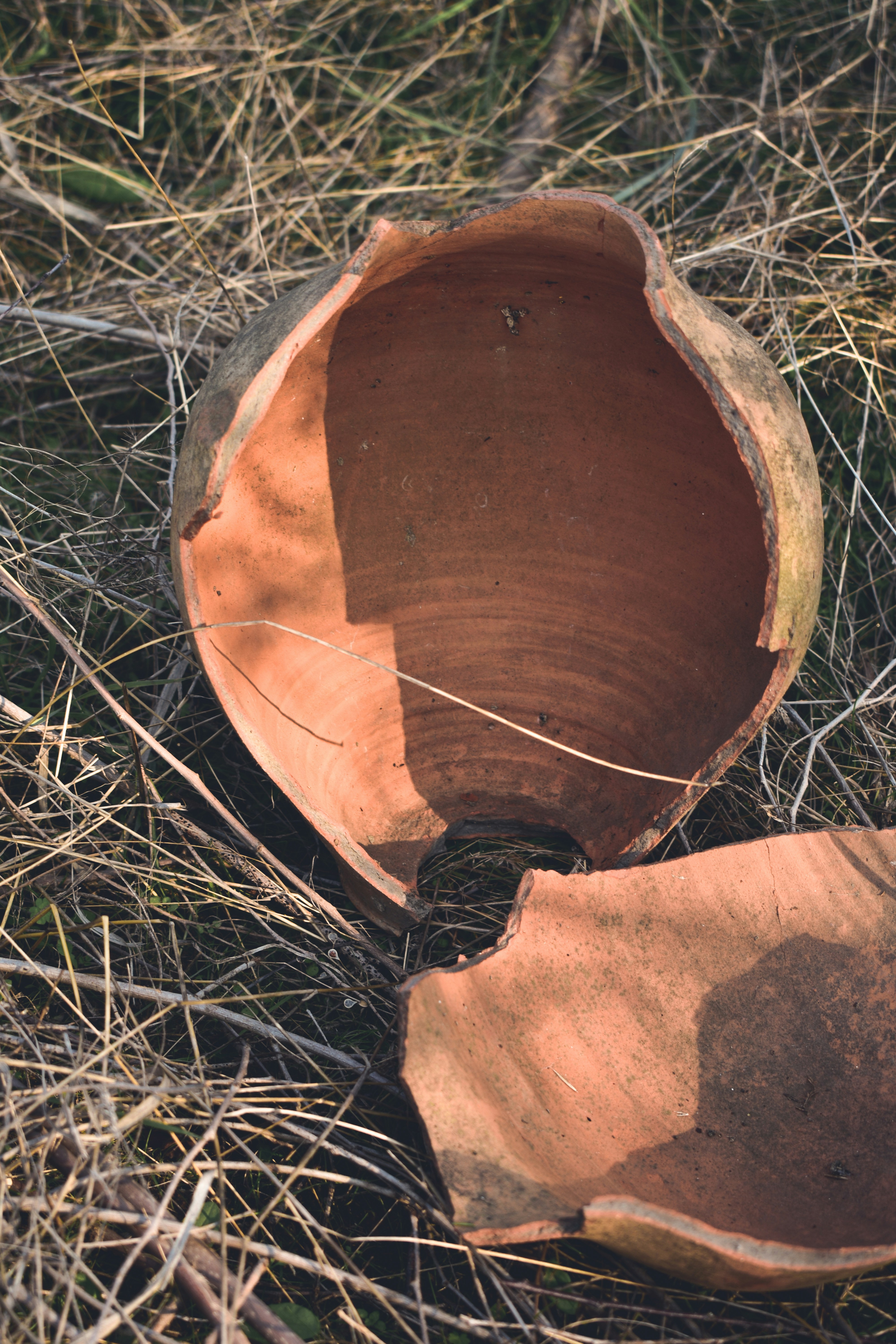 An ancient, broken clay pot rests on dry grass, revealing its interior and the passage of time. The earthy tones contrast with the surrounding natural elements.