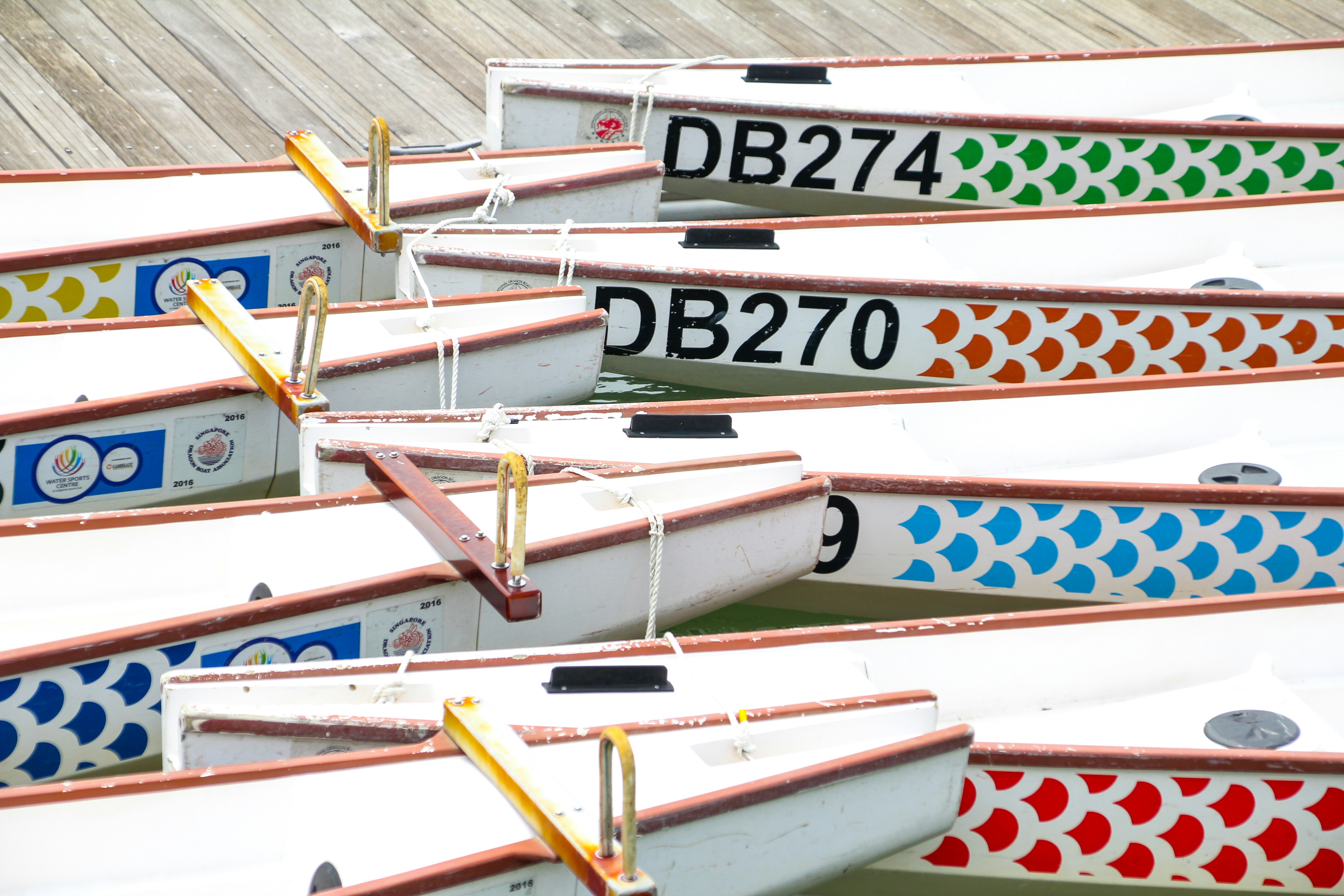 Dragon-Scaled Canoes Line Up at the Docks