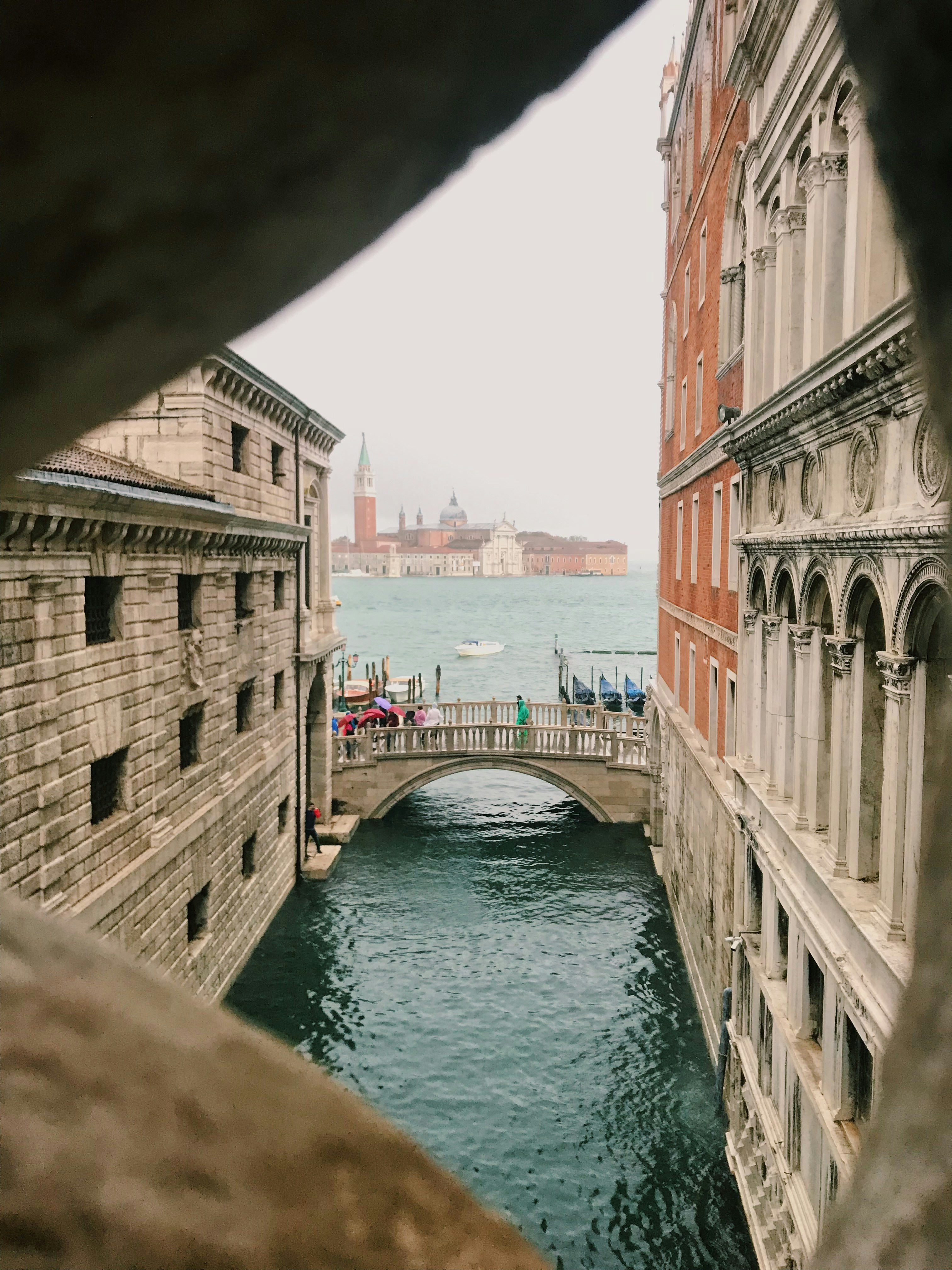 Emily Cressey (@evcee) | Unsplash Photo Community