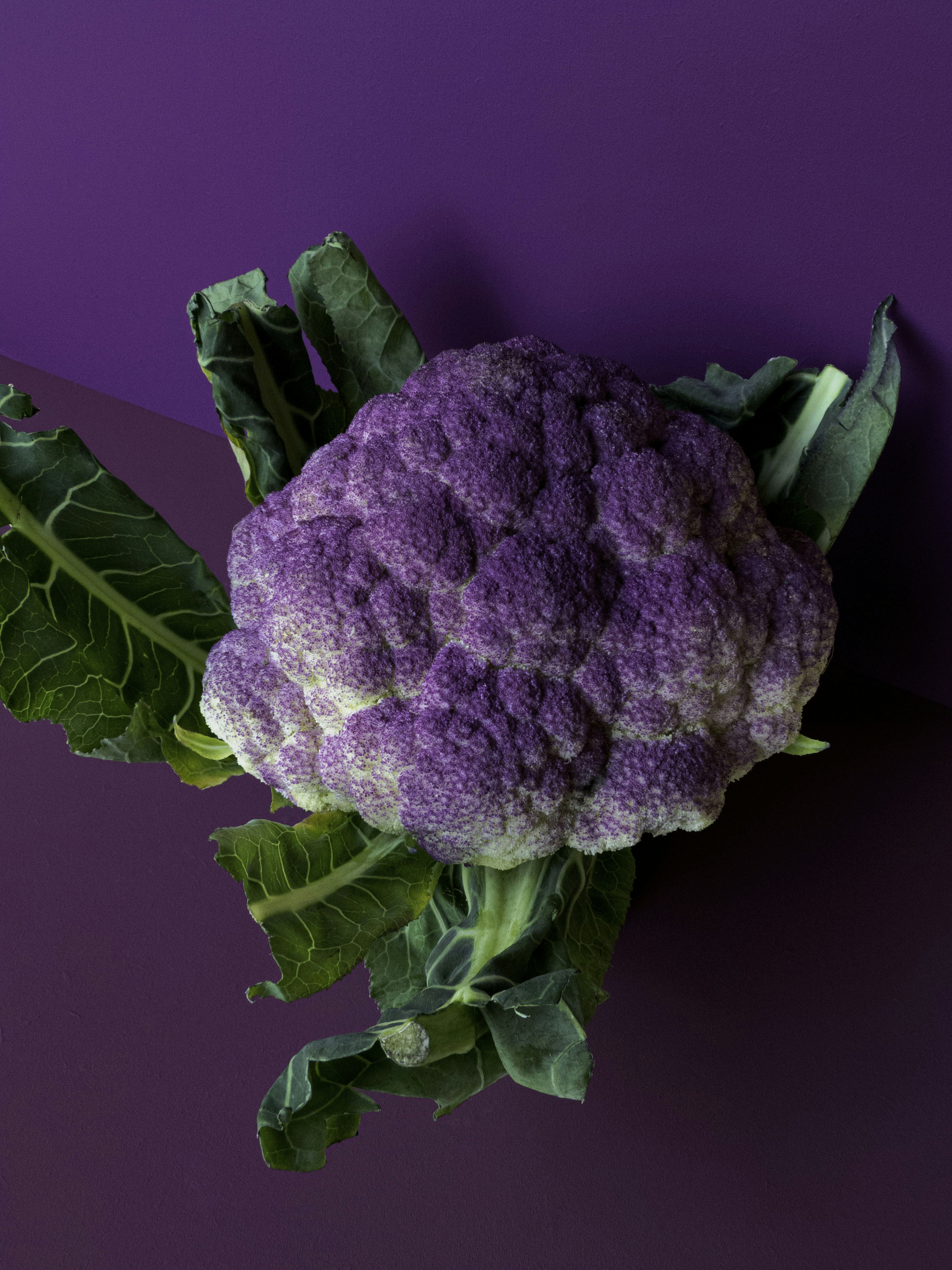 Purple Food Pictures | Download Free Images on Unsplash