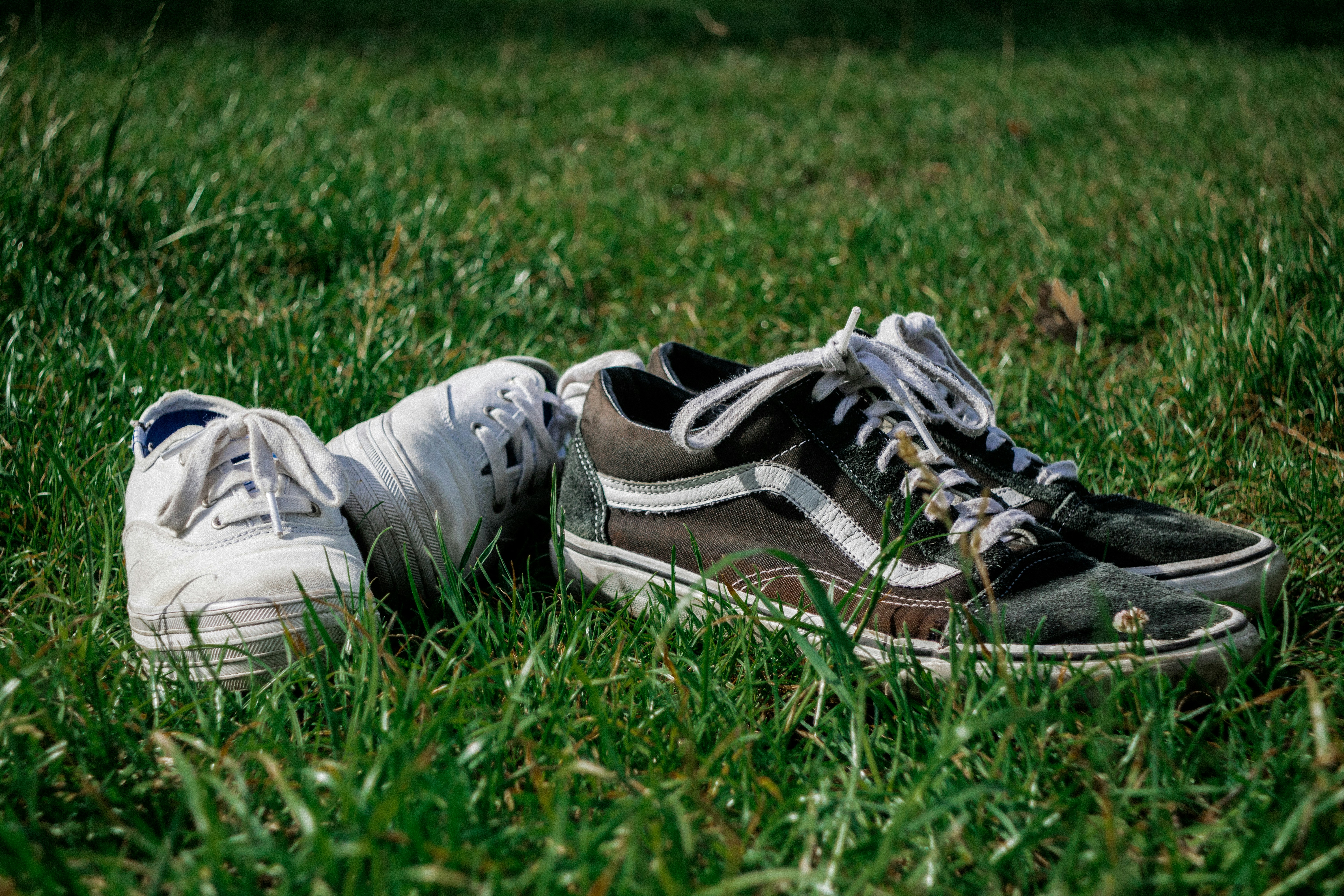 pair of Keds and a pair of Vans on green grass