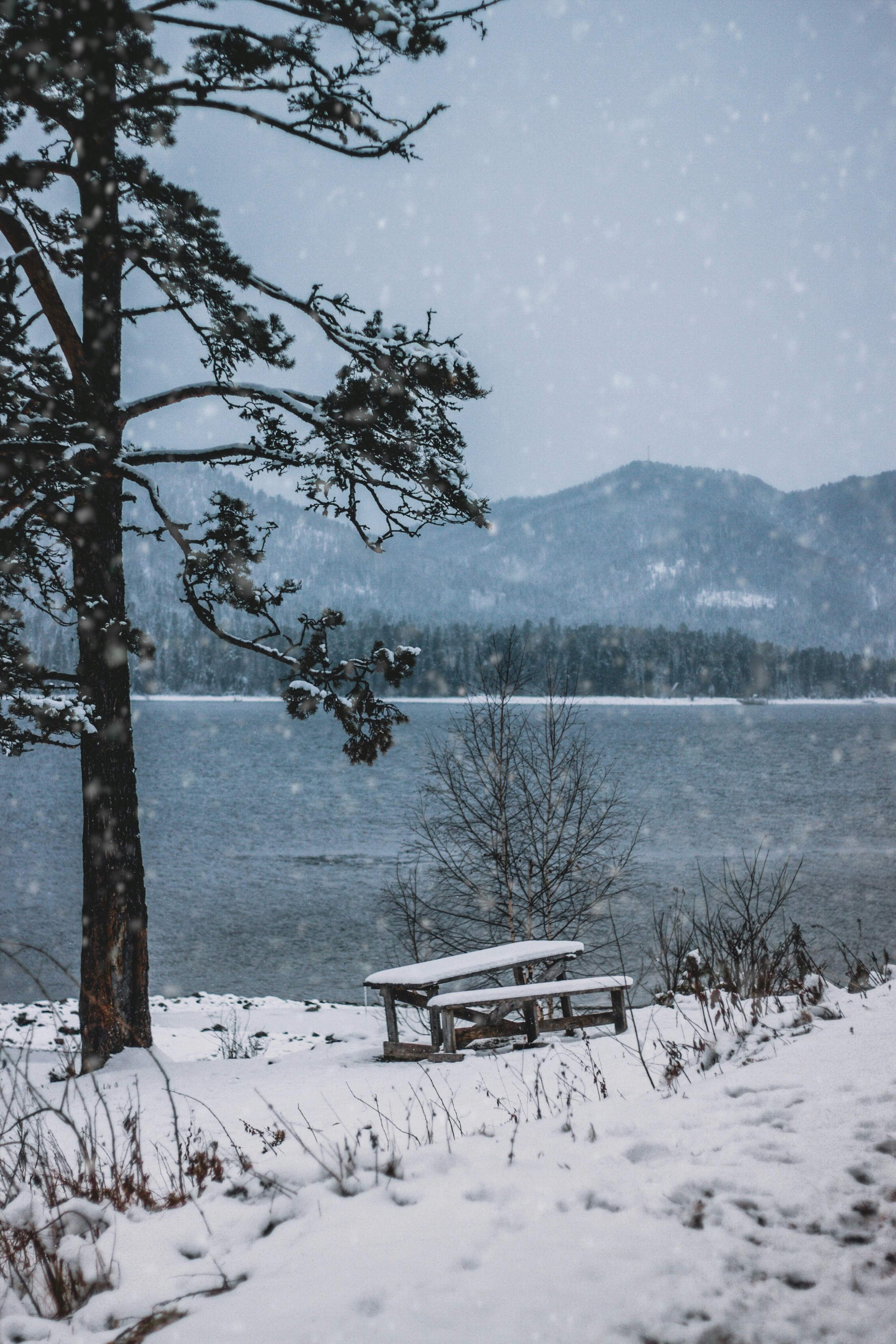 Snow covered table and bench near tre photo – Free Grey Image on Unsplash