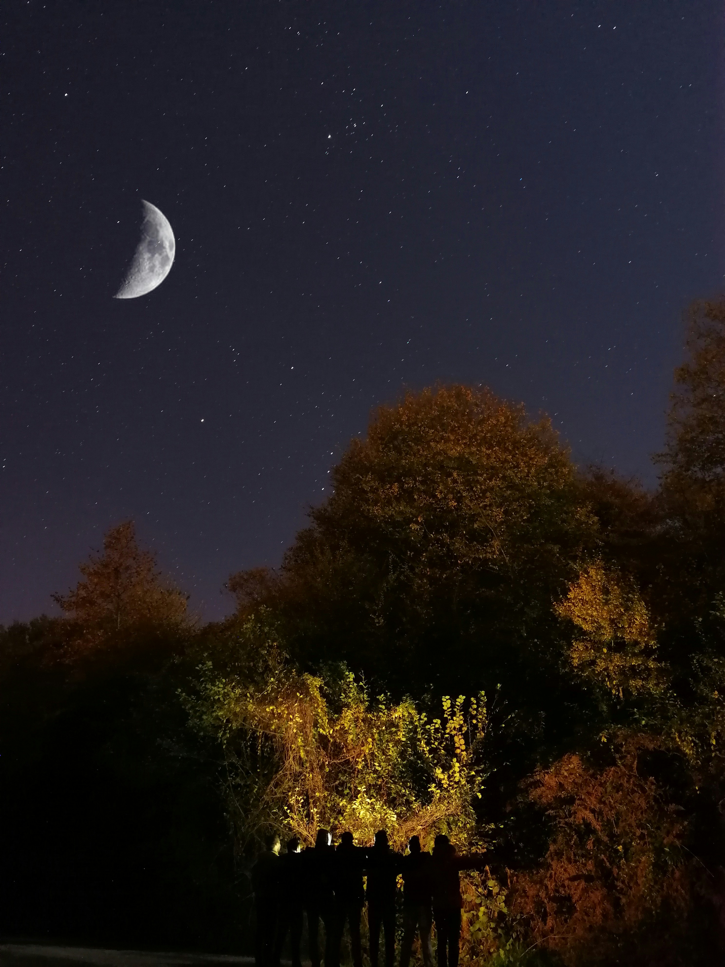 Night photograph of a crescent moon and star-filled sky above autumn trees, with silhouettes gathered near a warmly lit shrub.