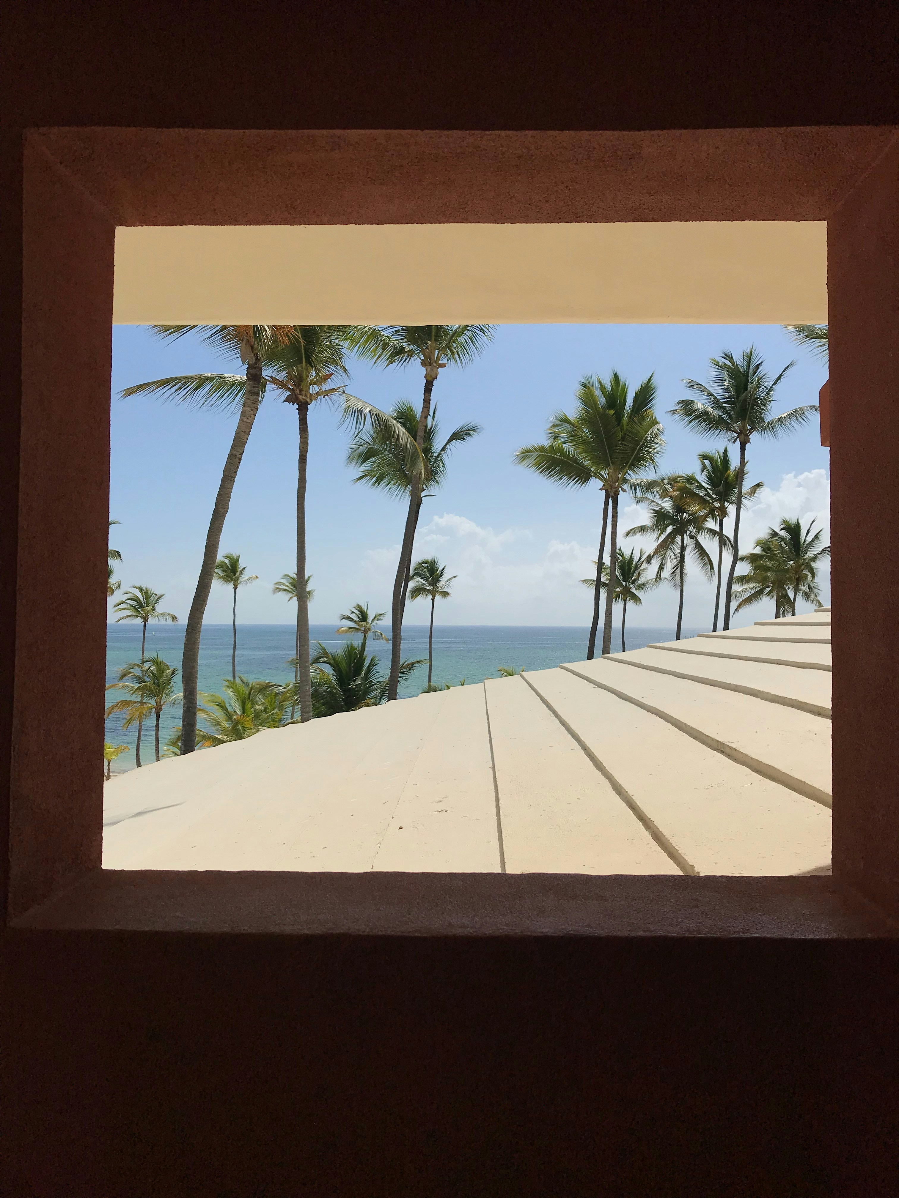 Coconut tree photo – Free Building Image on Unsplash