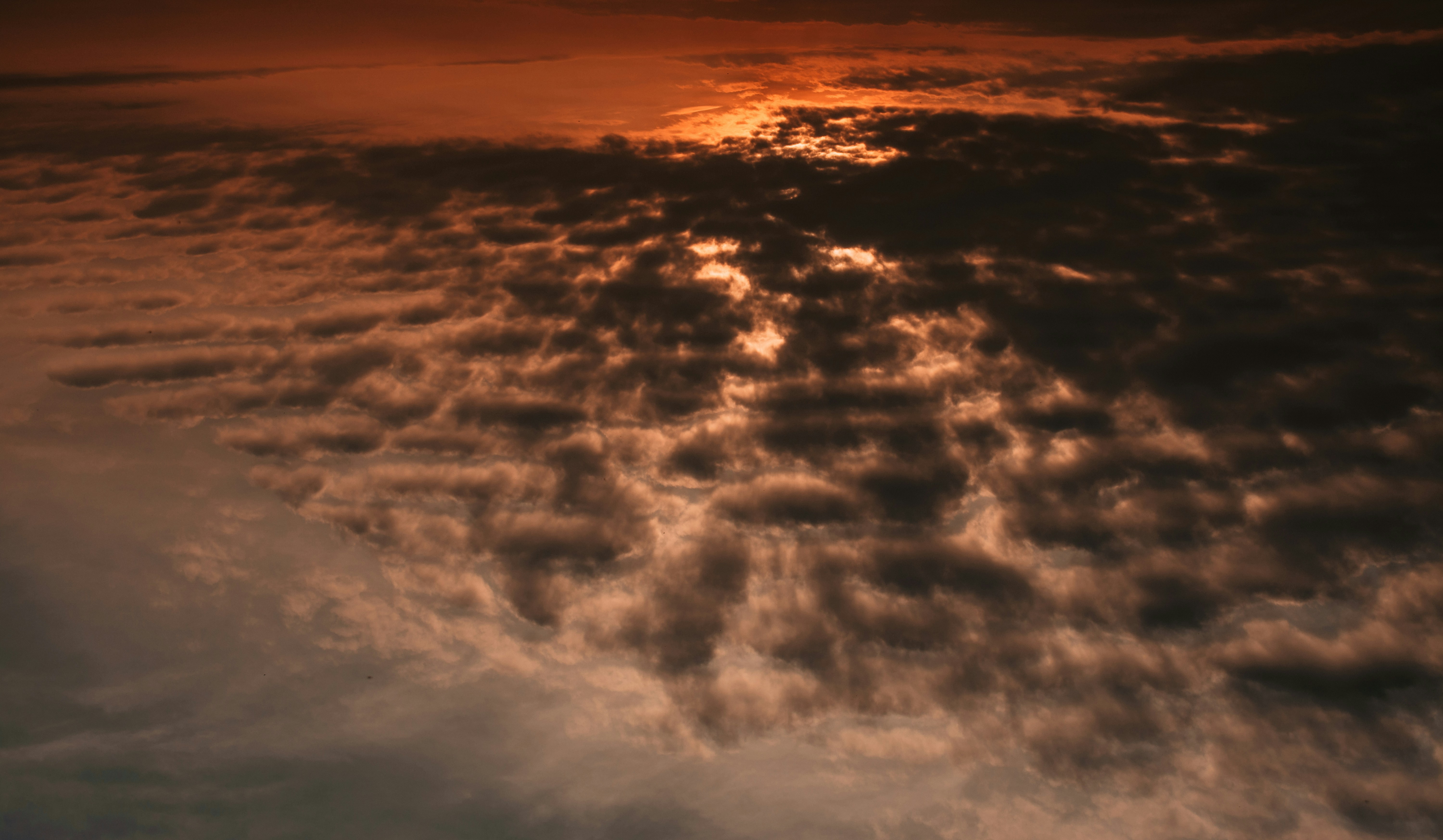 Photo by Irina Iriser with Nikon D7100