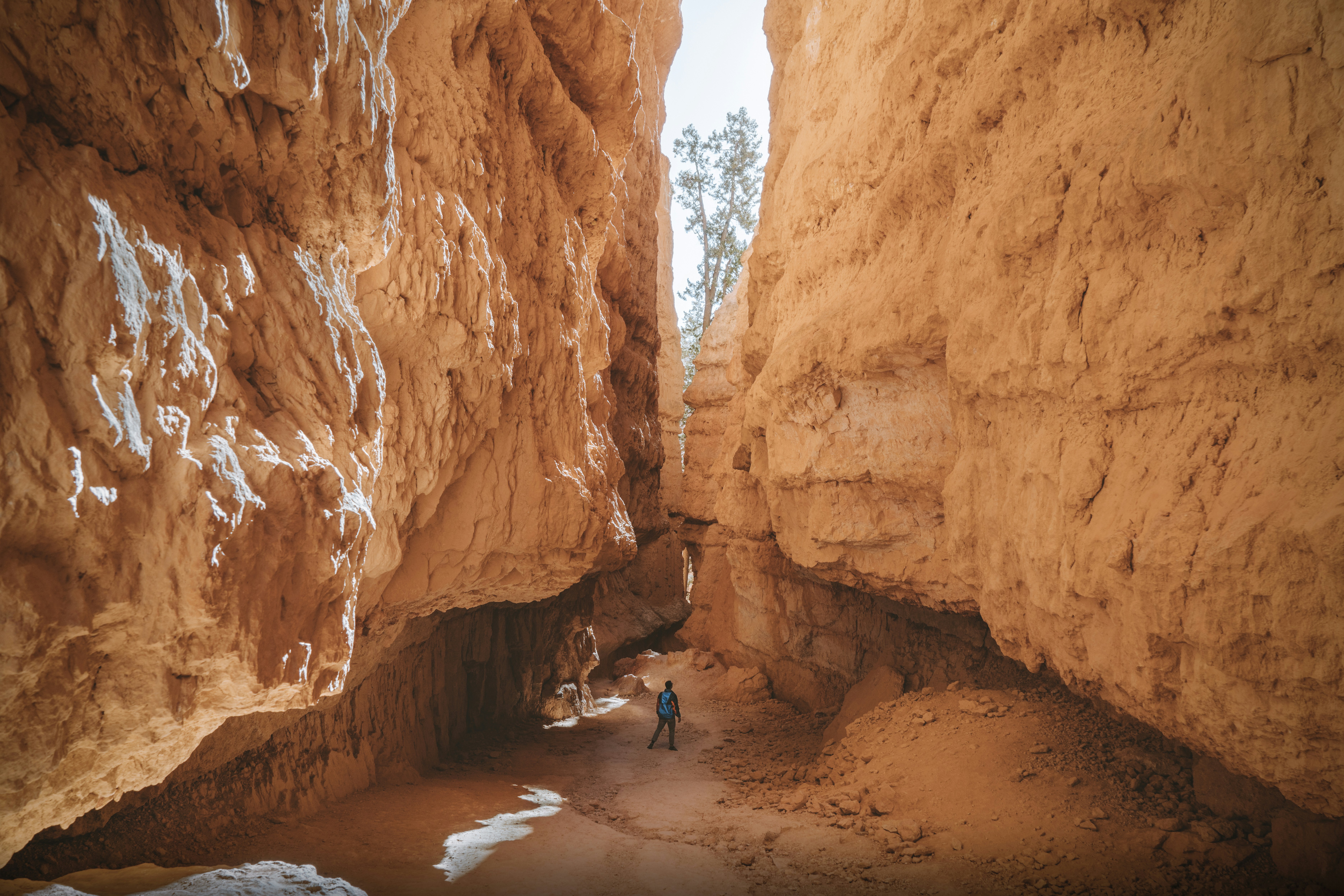 Hiker standing within towering orange canyon walls illuminated by sunlight.