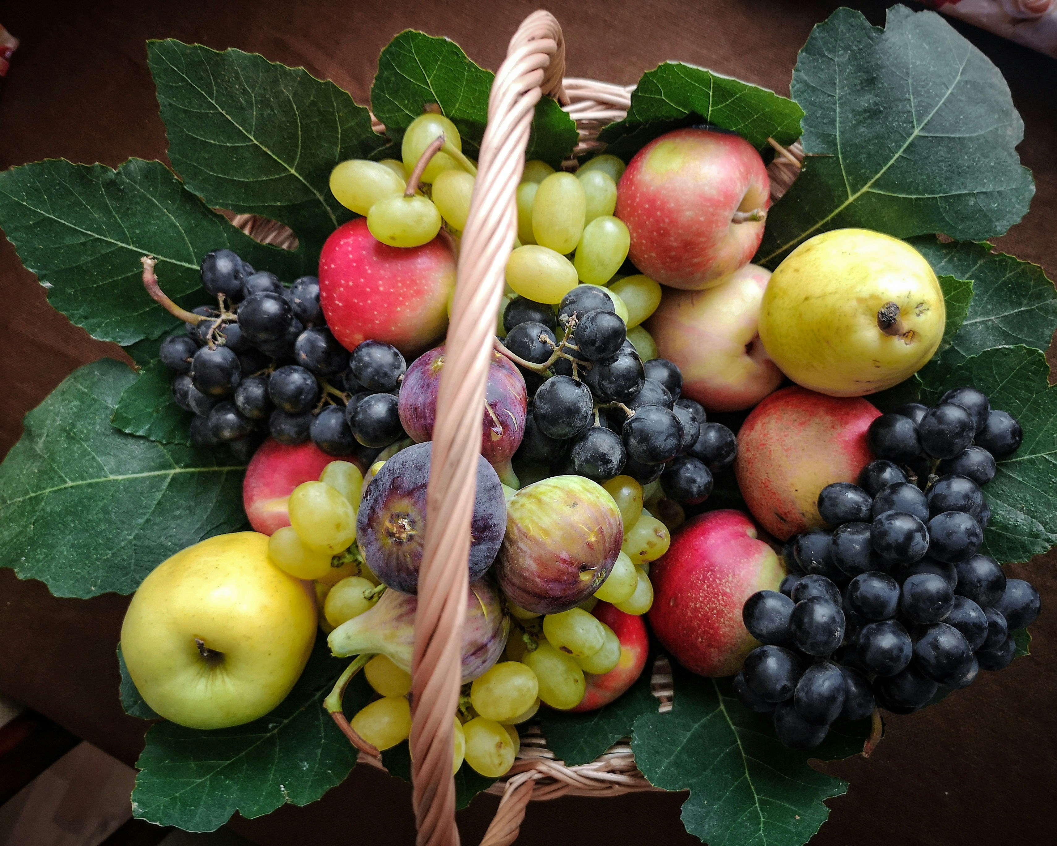 Basket of varieties of fruits photo – Free Algeria Image on Unsplash