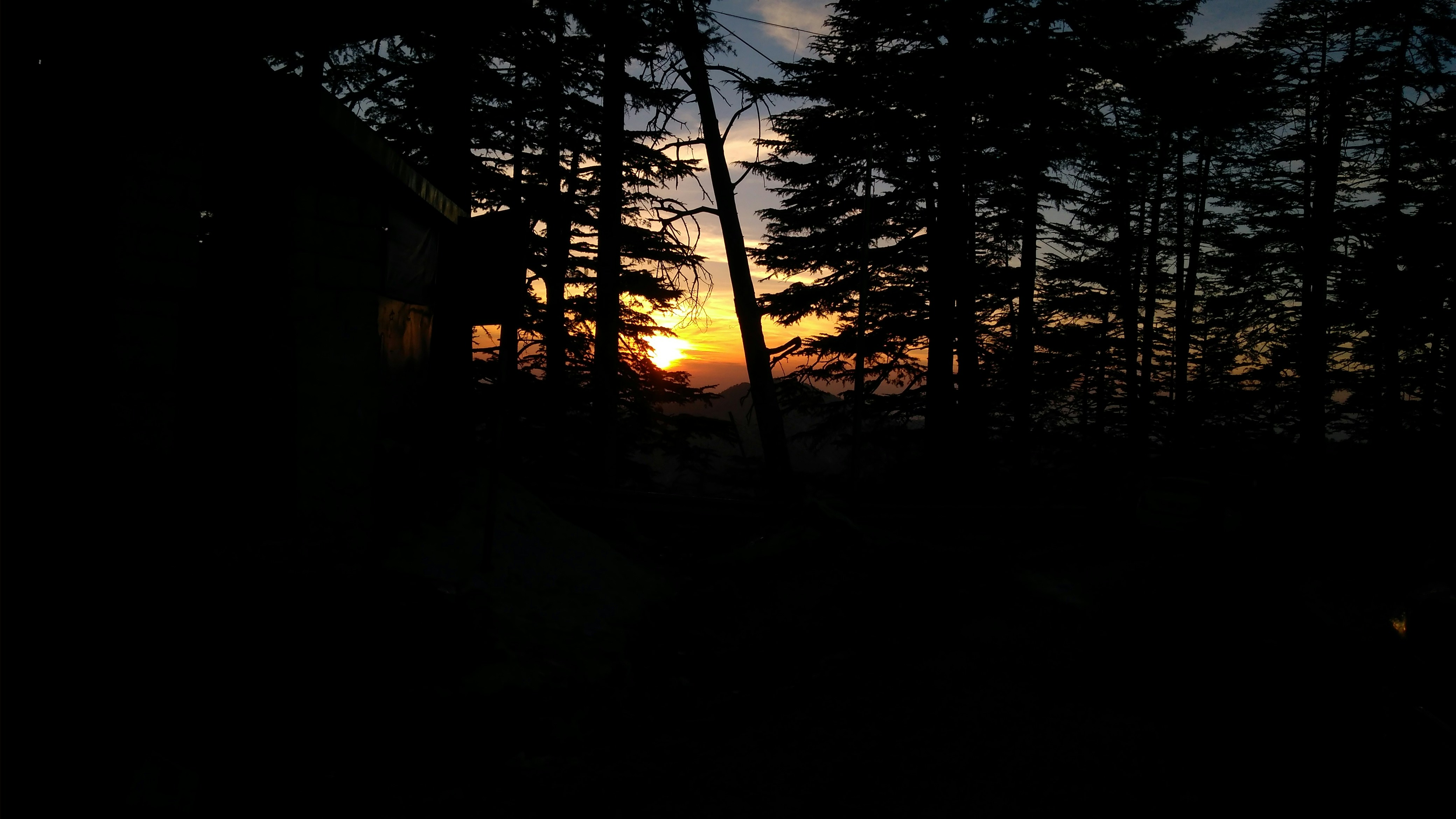 Sunset & Mountains | silhouette photography of green-leafed trees and brown house