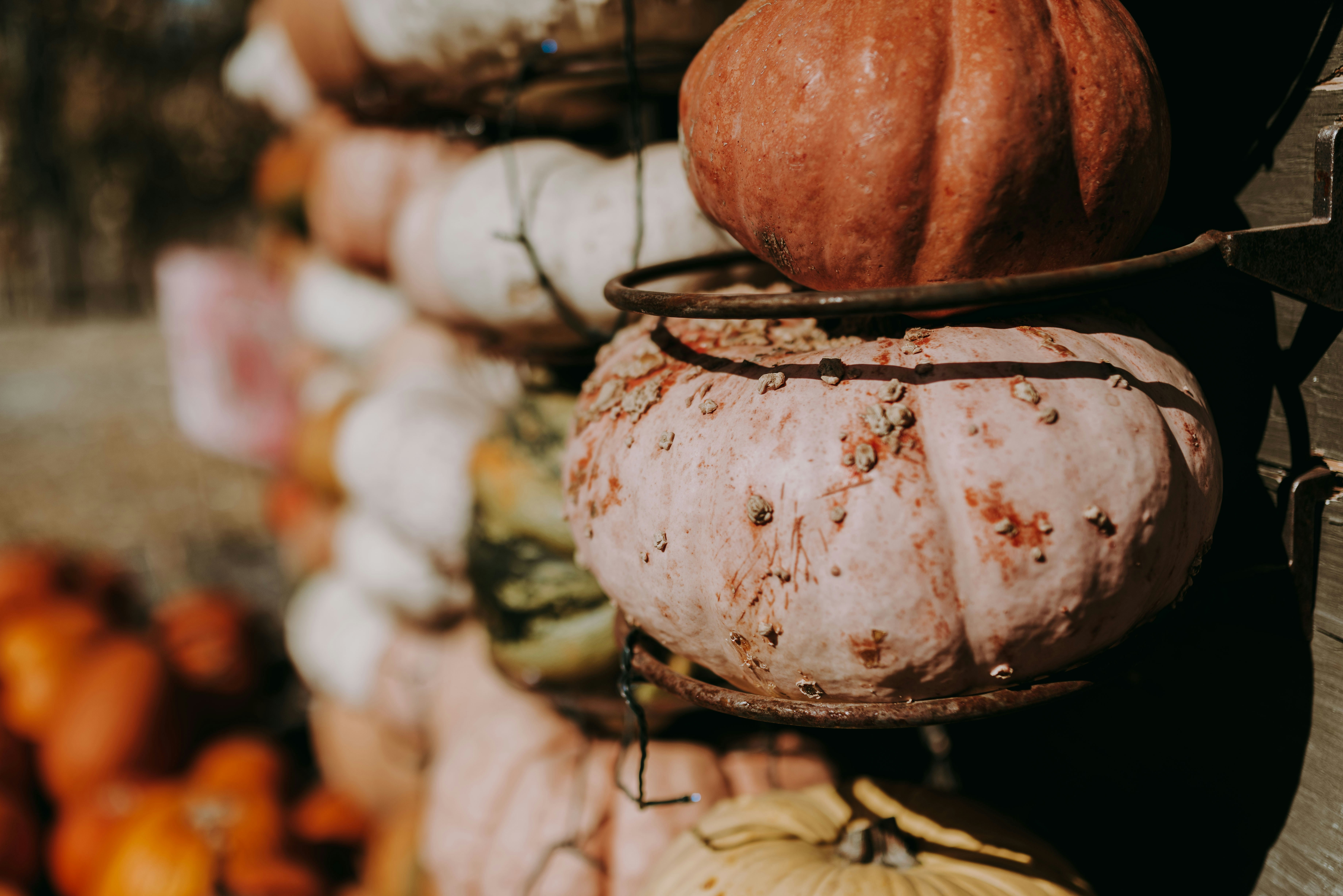 Weathered White Pumpkin Anchors a Quiet Autumn Still-Life in a Market Stall