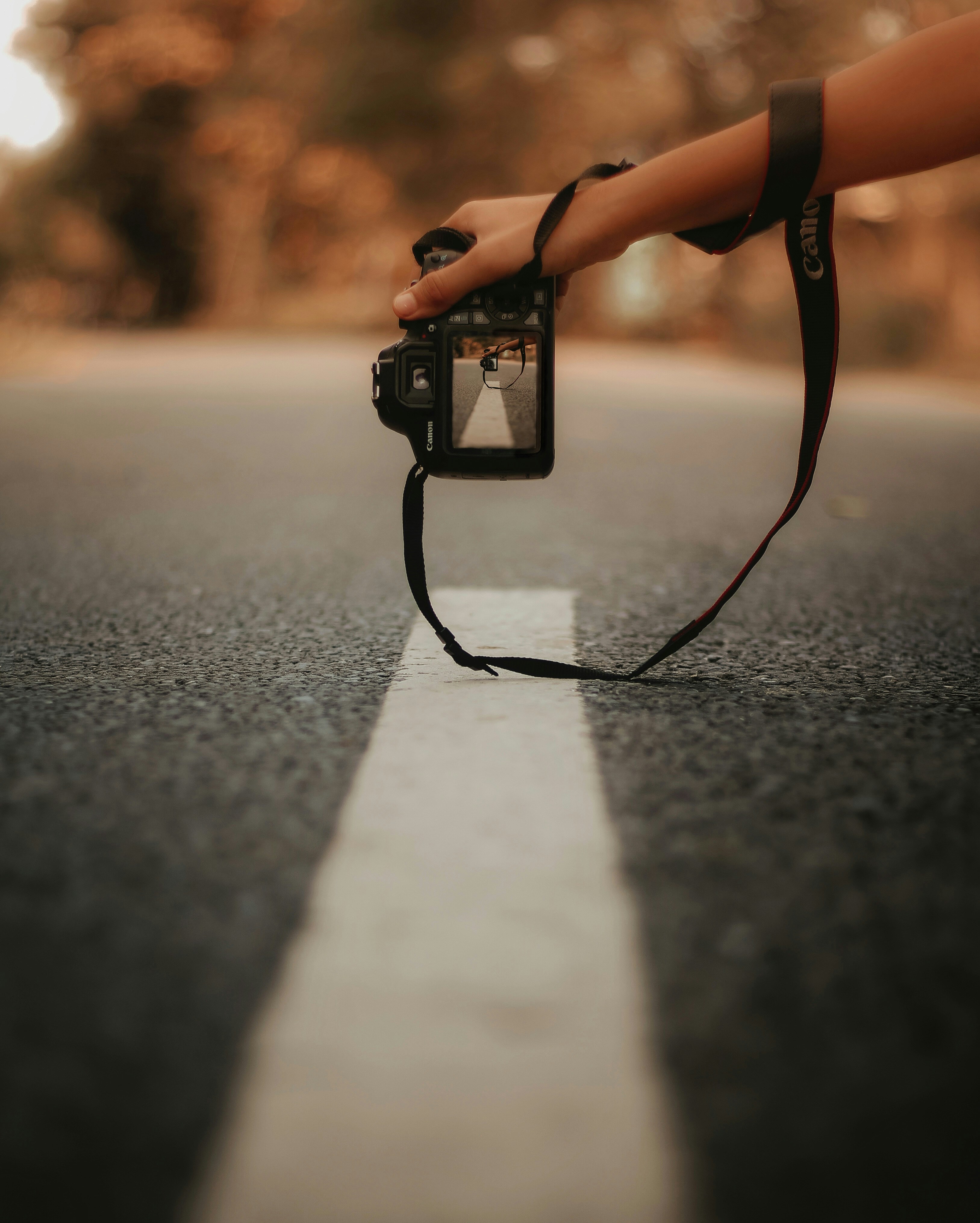 Frame Within a Frame: The Photographer's Gaze on an Asphalt Path