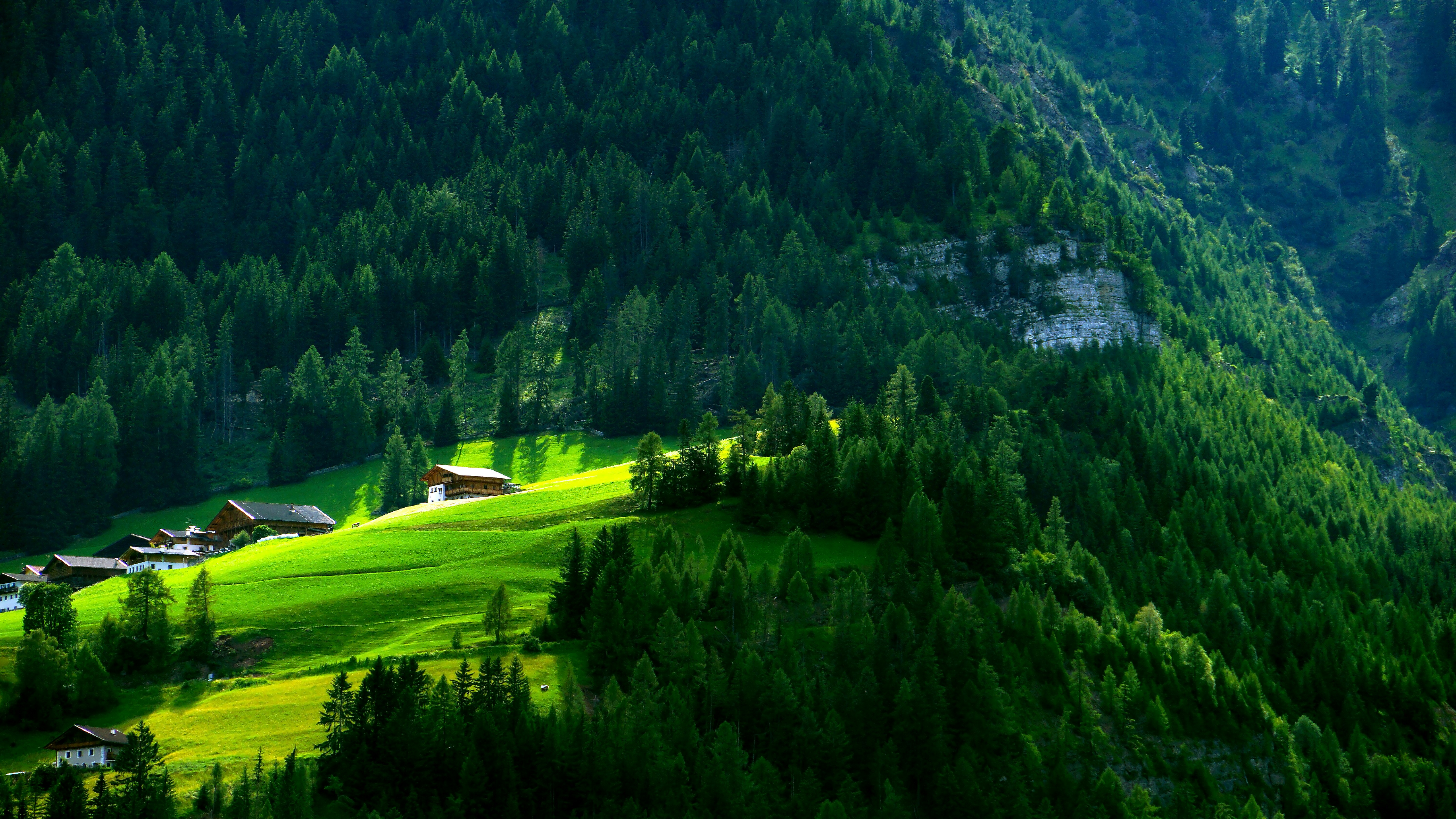 Green pine tree slope photo – Free Field Image on Unsplash