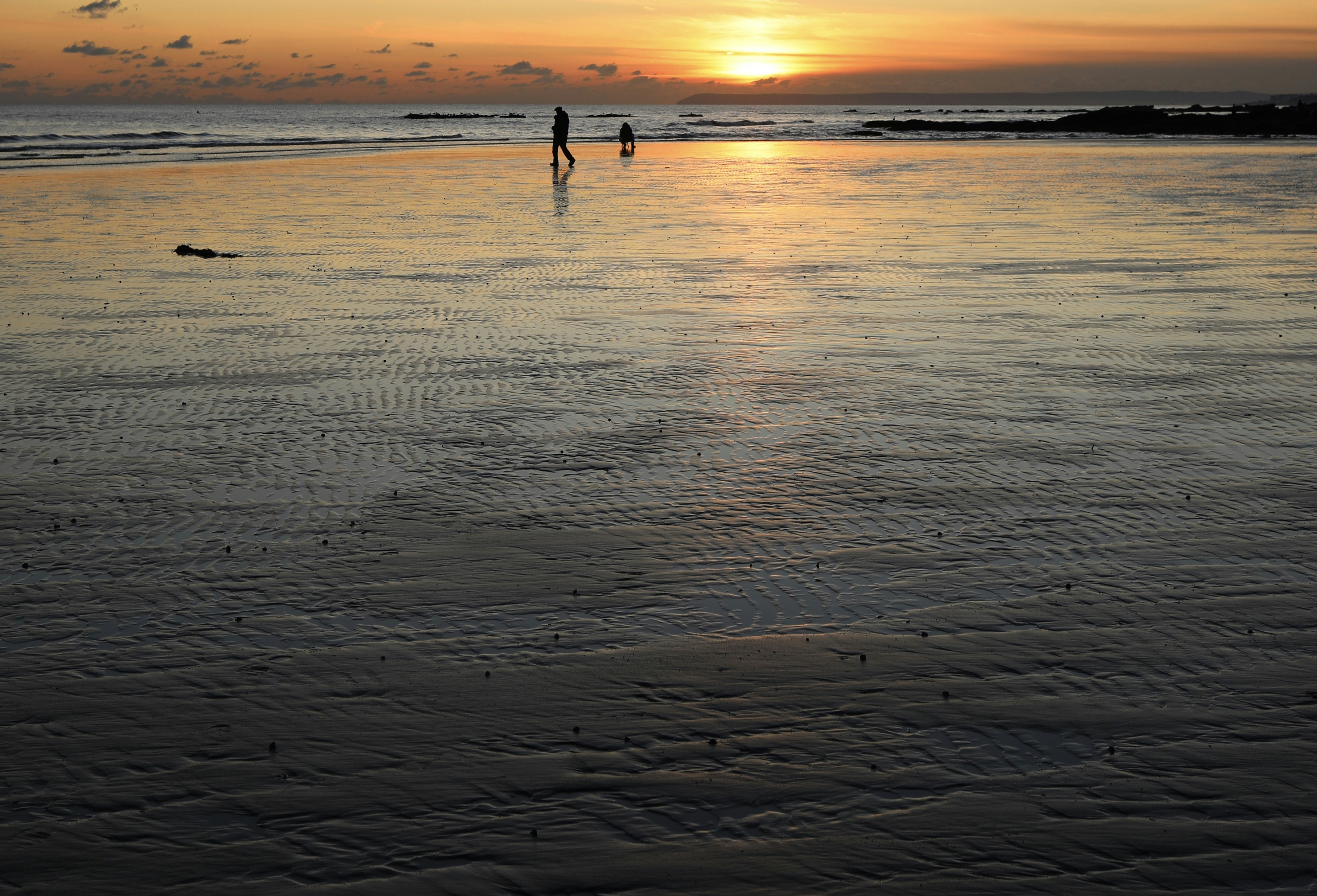 Sunset Walkers on a Quiet Tidal Plain