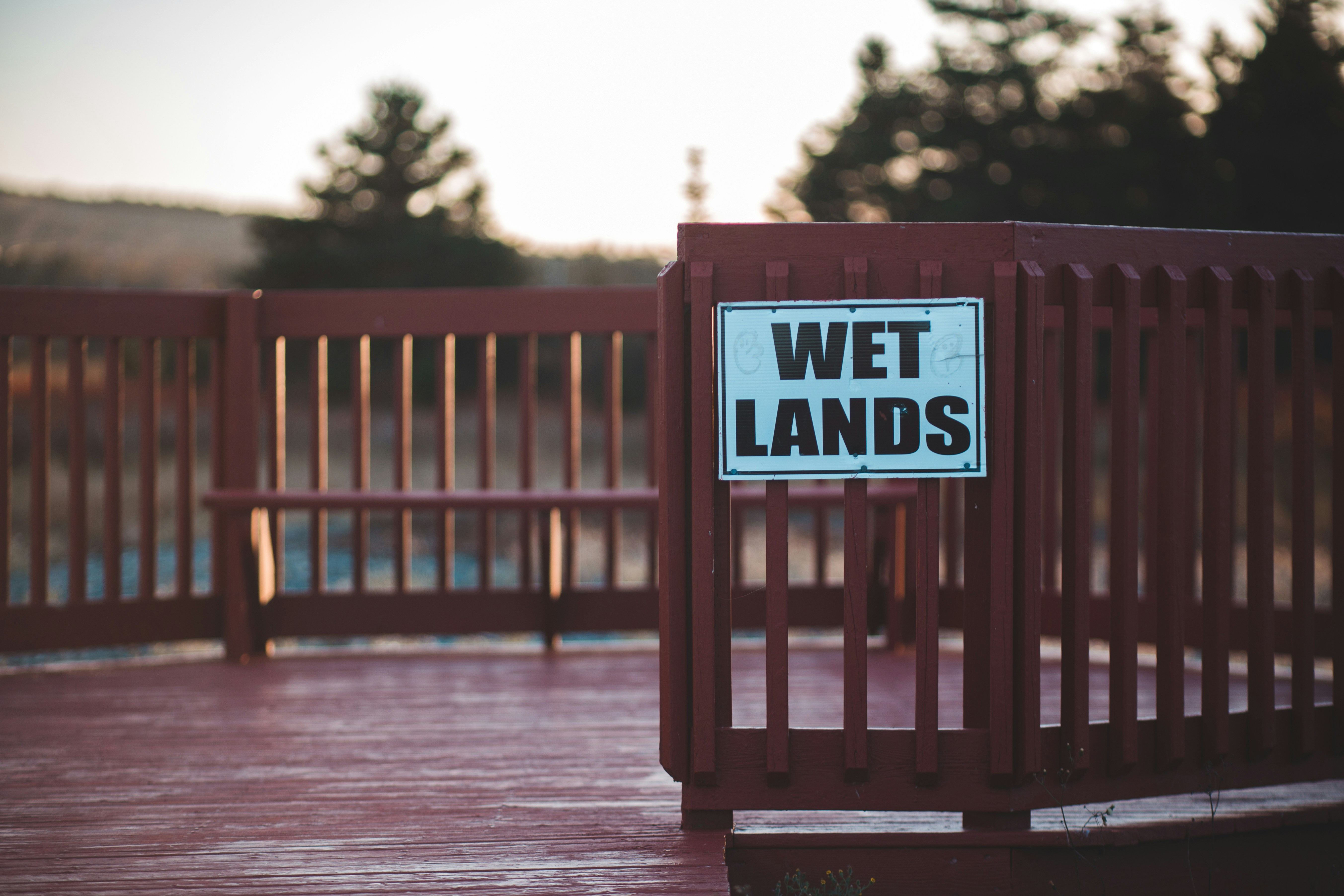 Patio platform with wet lands signage photo – Free Wood Image on Unsplash