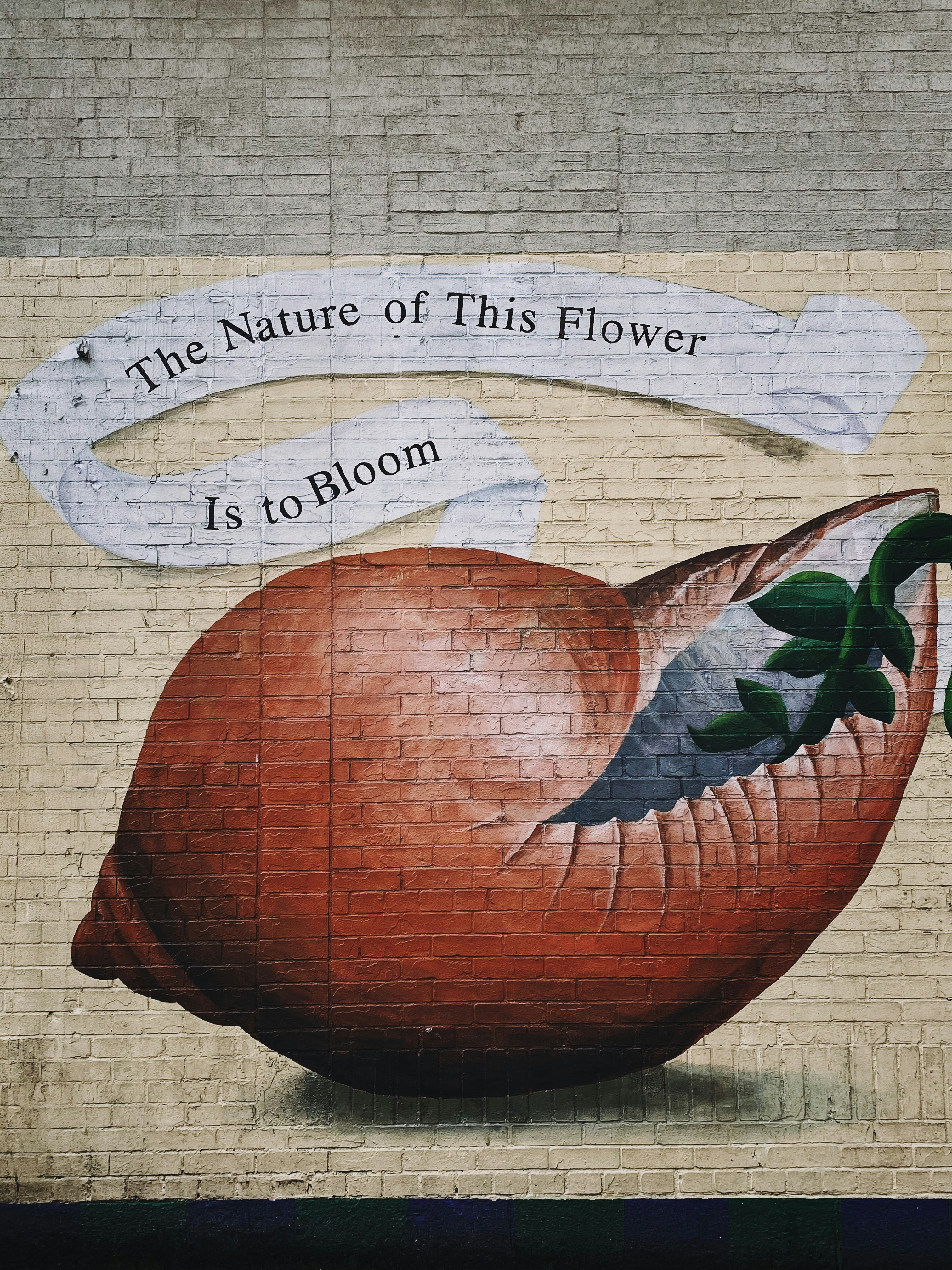 Curved Bloom: A Red Seed Unfolding Across Brick