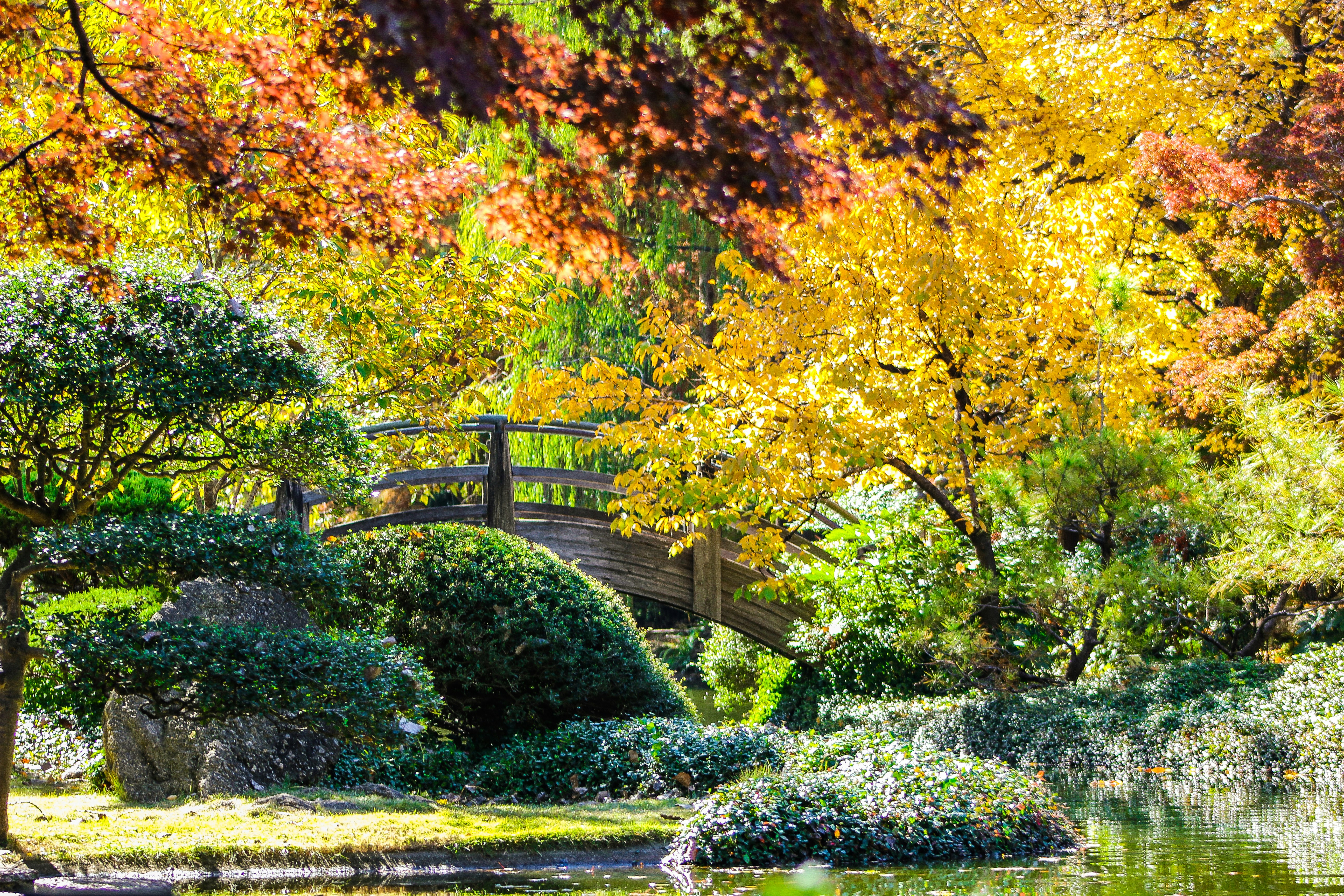 Thomas S. (@photosbythomas) | Unsplash 사진 커뮤니티