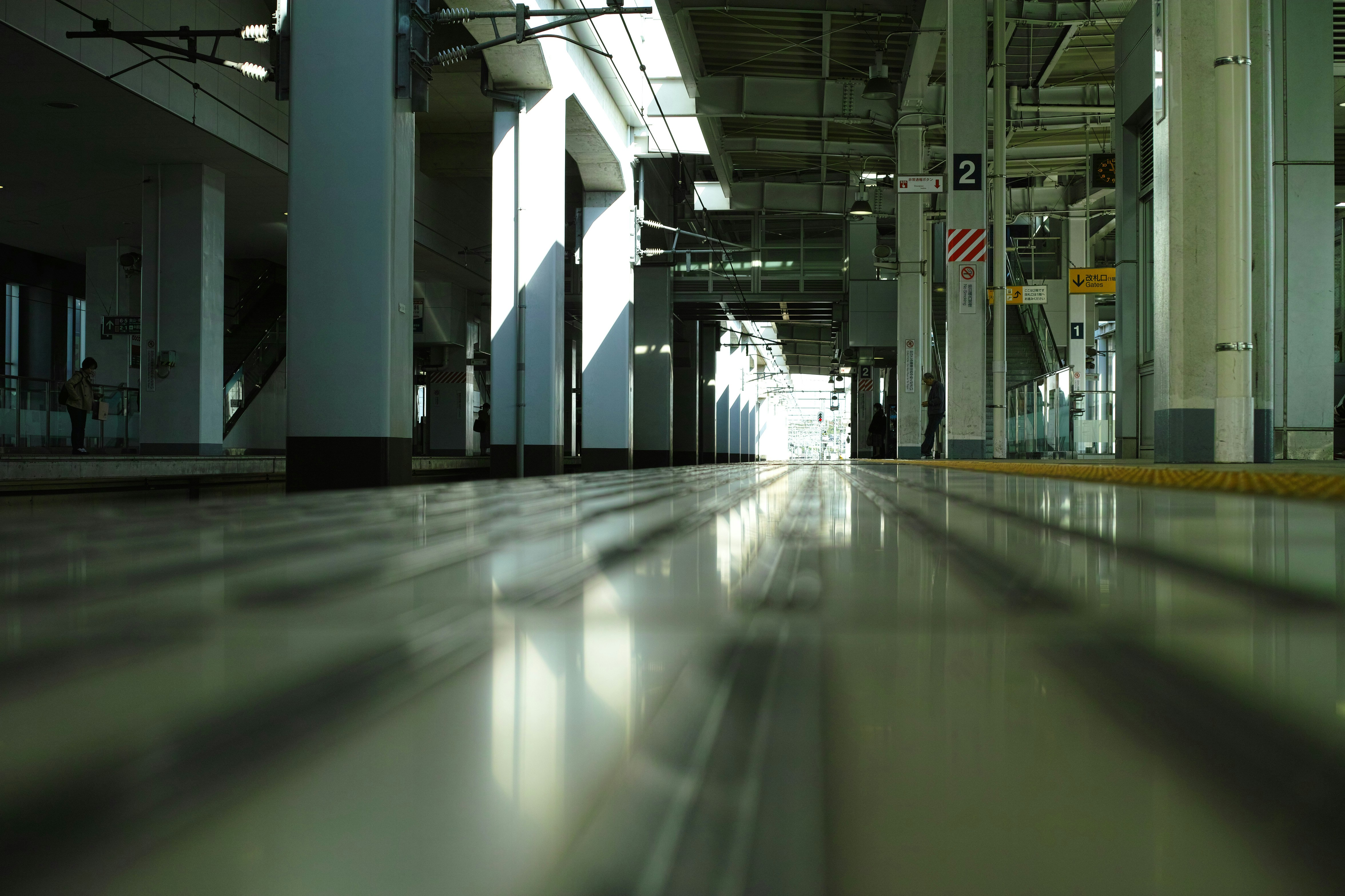 Magic Mary (@magicmmary) | Unsplashフォトコミュニティ