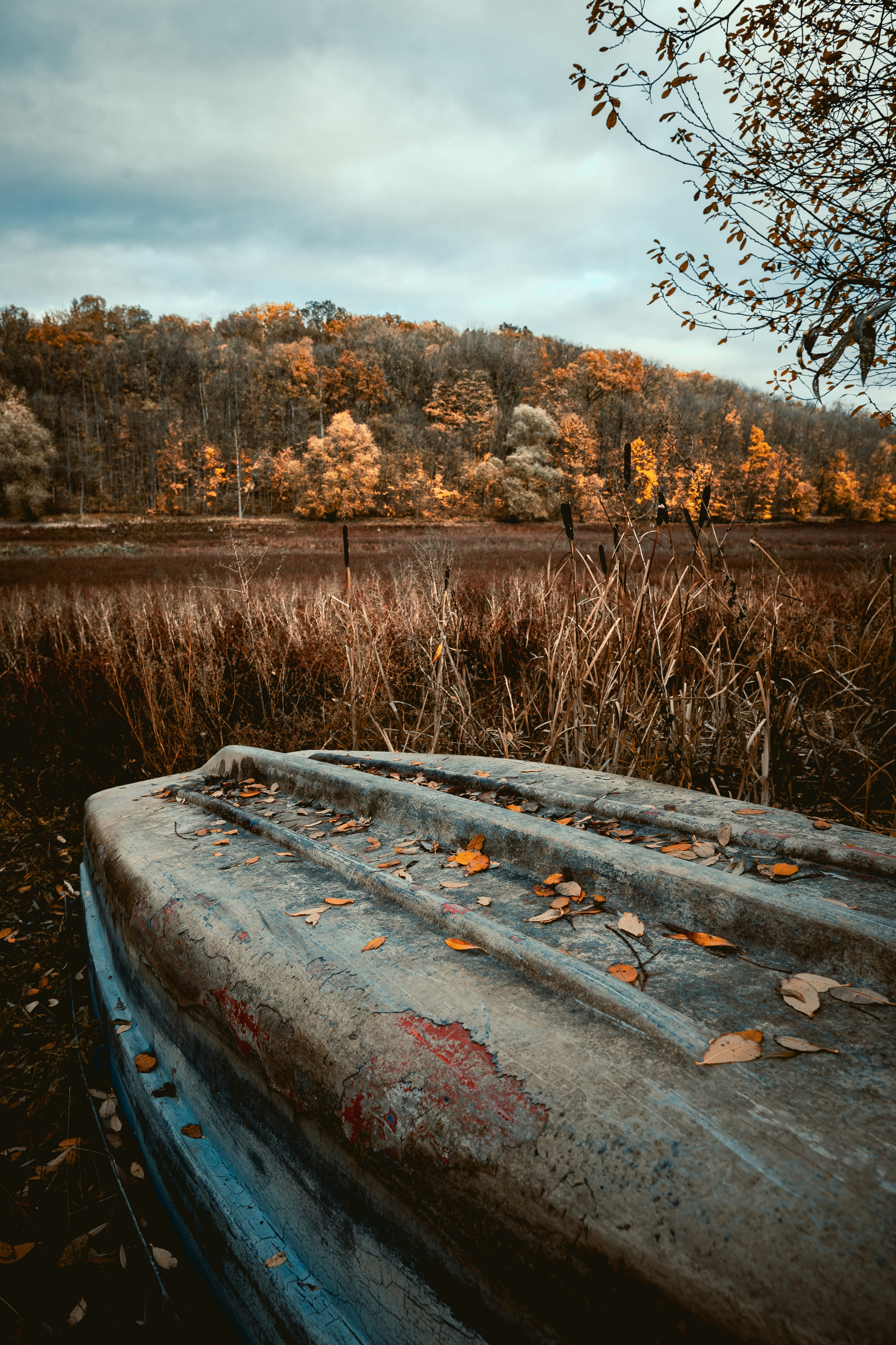 Weathered Rowboat at the Edge of an Amber Autumn Marsh