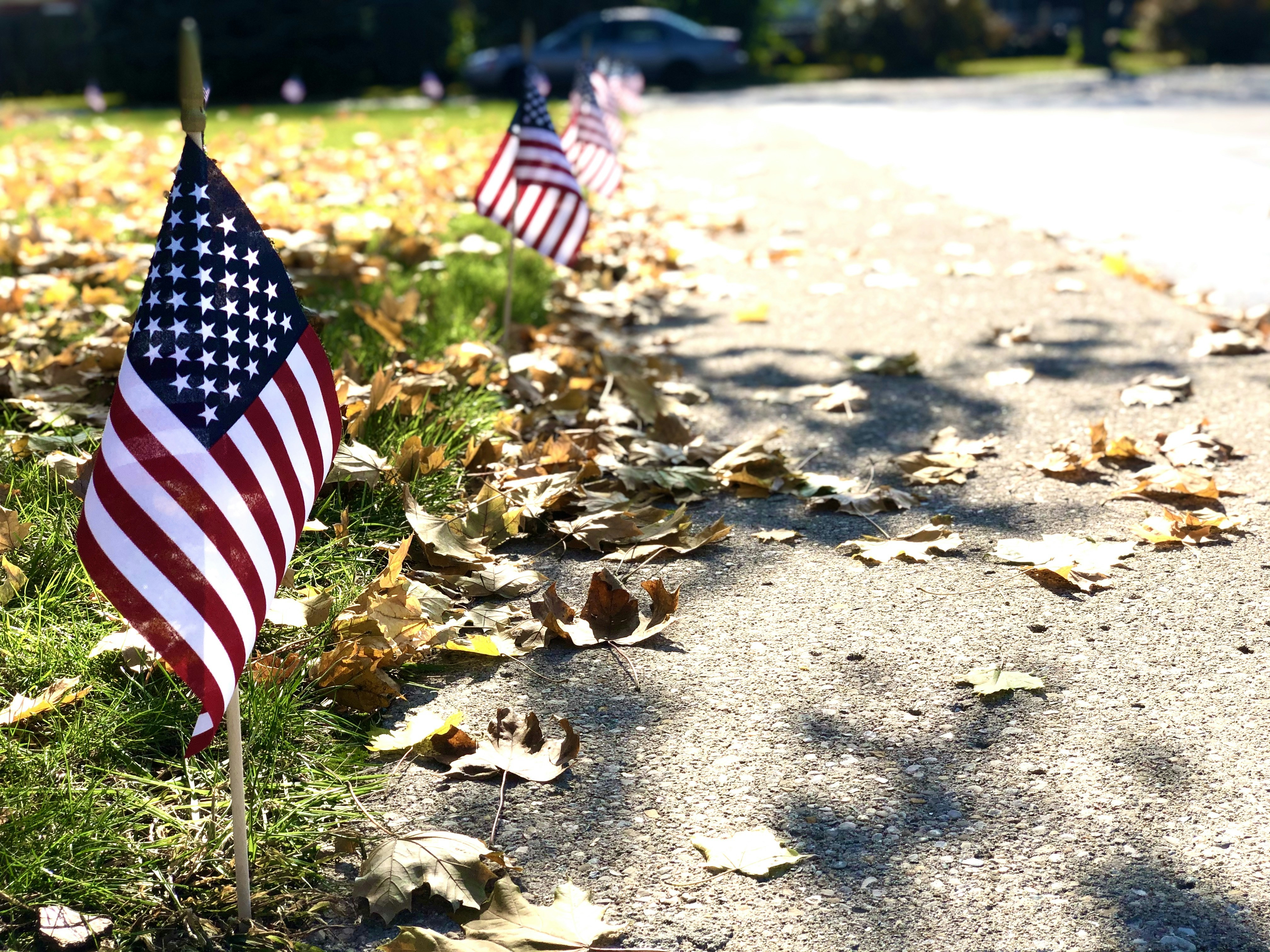 American flags line a sunlit sidewalk covered with autumn leaves.