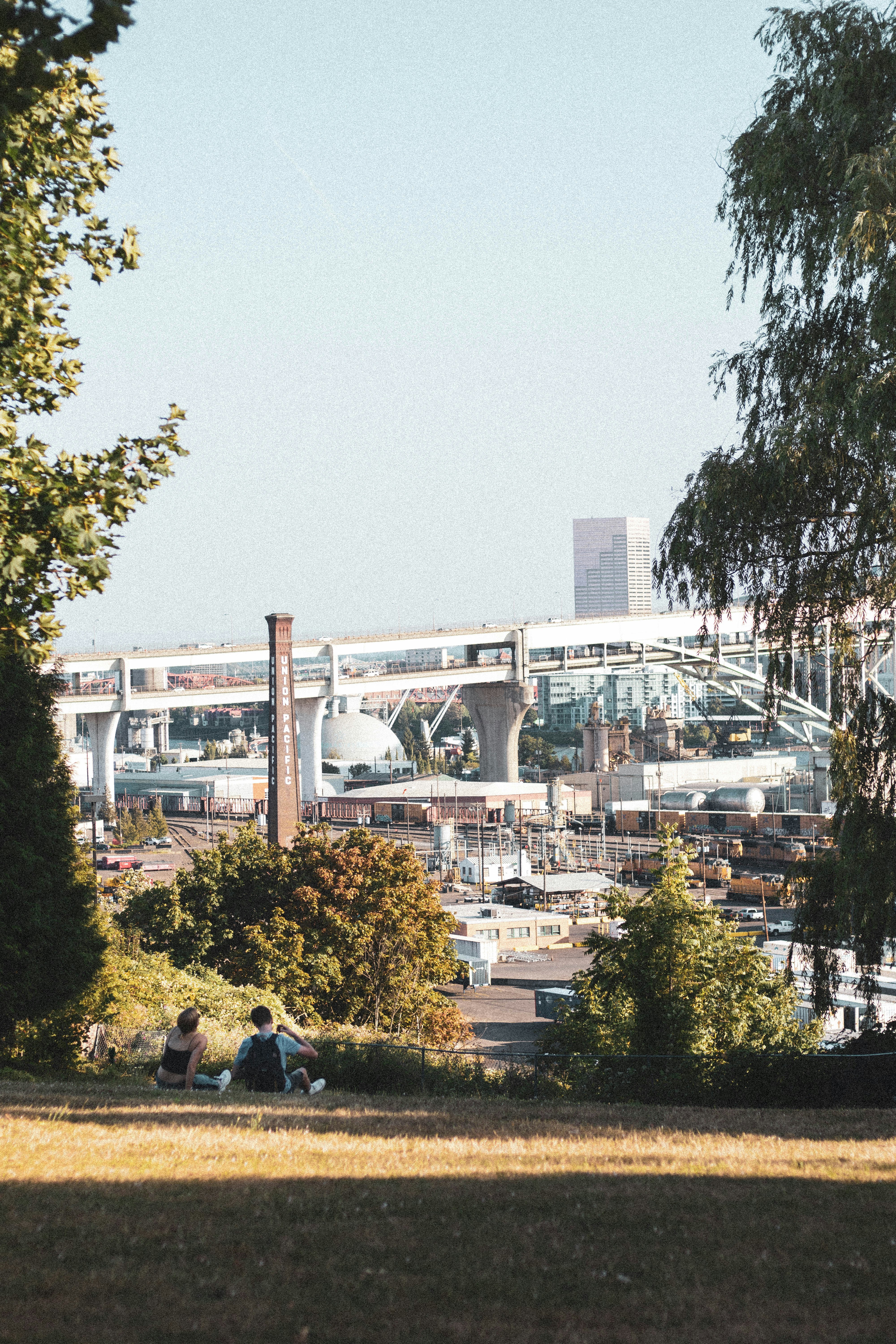 Overlooked Quiet: Parkside Moment Beneath a City Viaduct