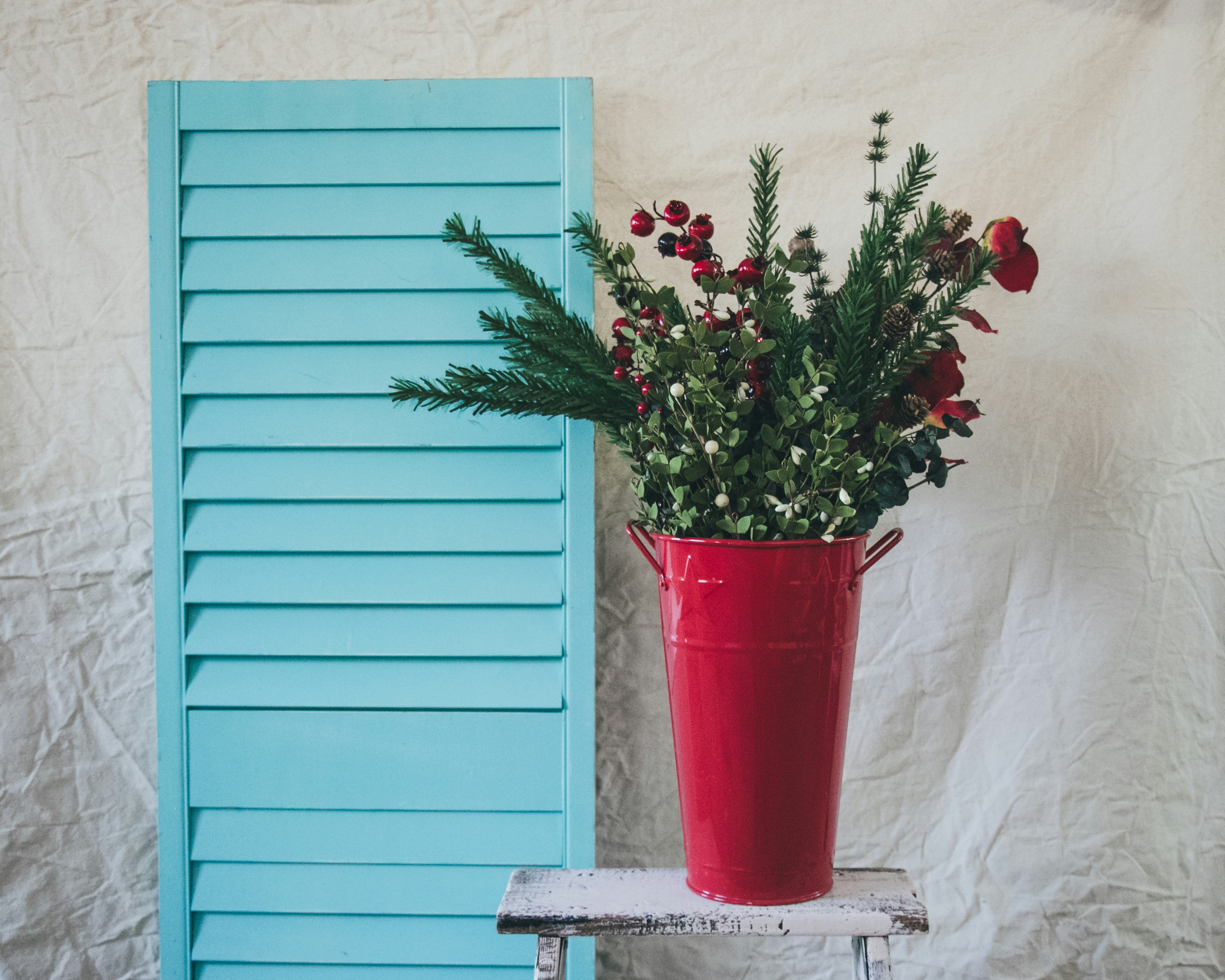 Crimson Bouquet Against Aqua Slats: A Quiet Still-Life