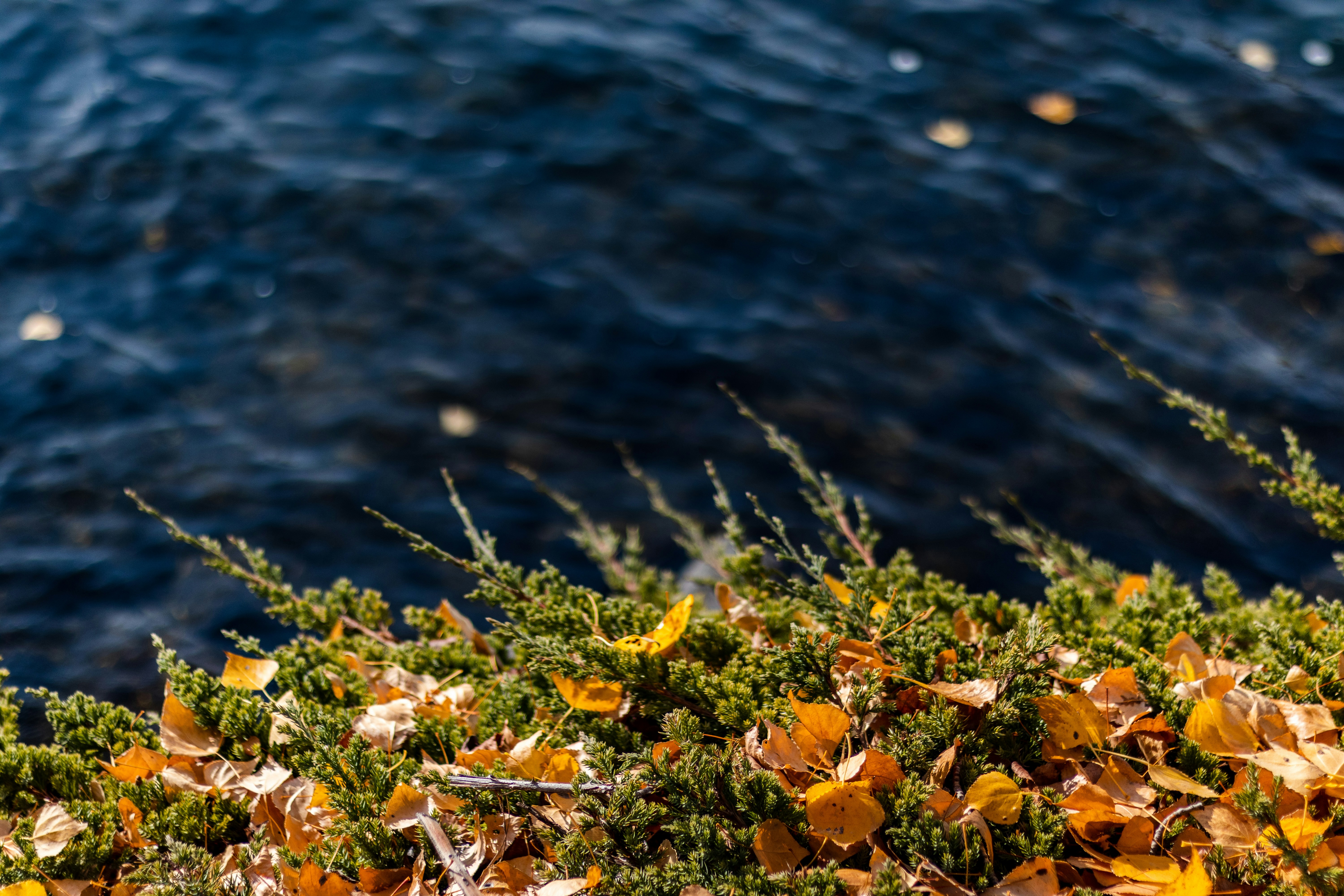 Cameron Ballard Photos | Télécharger des images gratuites sur Unsplash