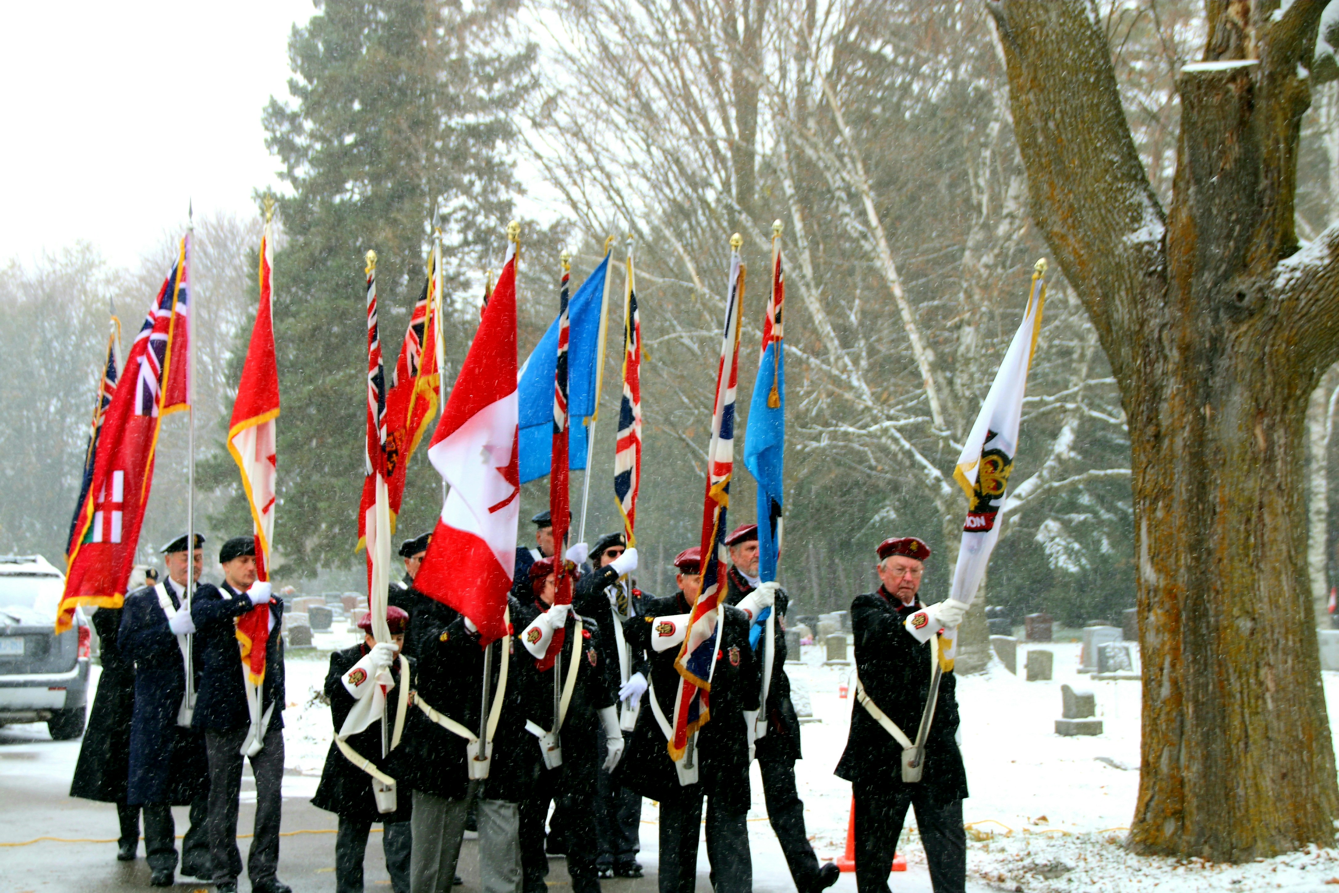 Flags in the Snow: A Formal Honor Guard Procession