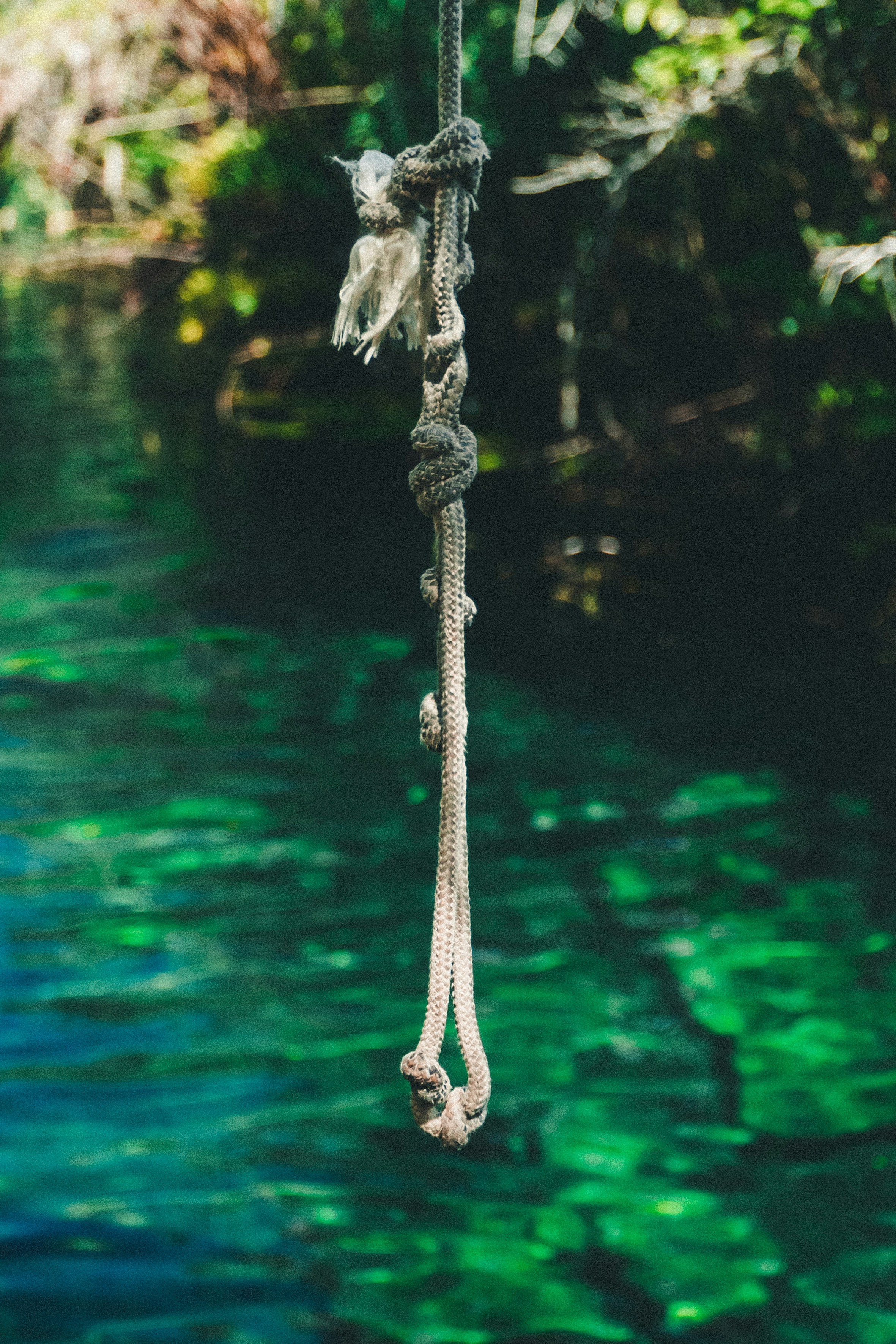 Rope swing at cenoté swimming hole near Tulum, Mexico. 
