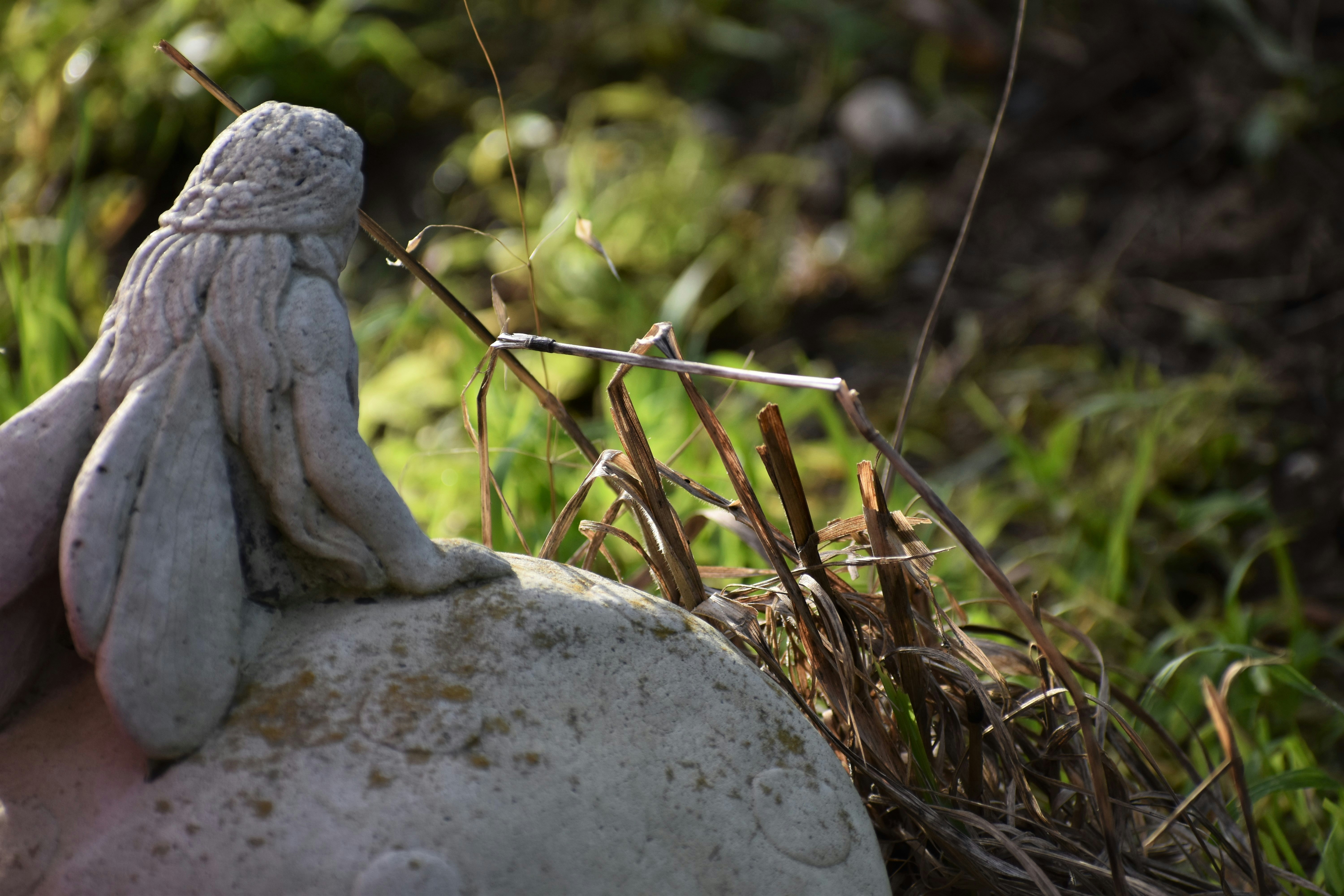 meaghan pryor (@theartinspires) | Comunidade de fotos da Unsplash