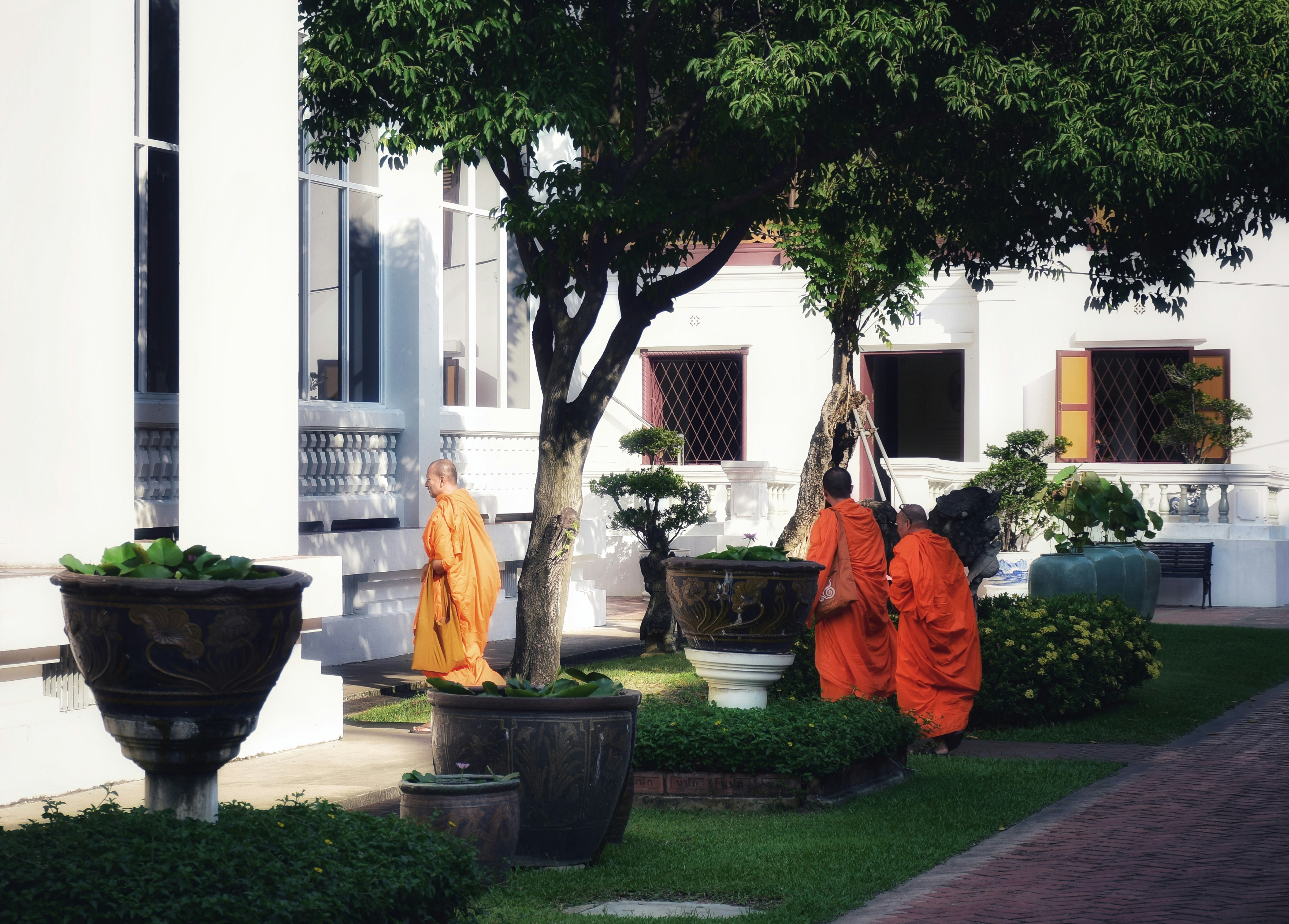Buddhist monks in vibrant orange robes walking through a serene courtyard adorned with lush greenery and decorative pots.