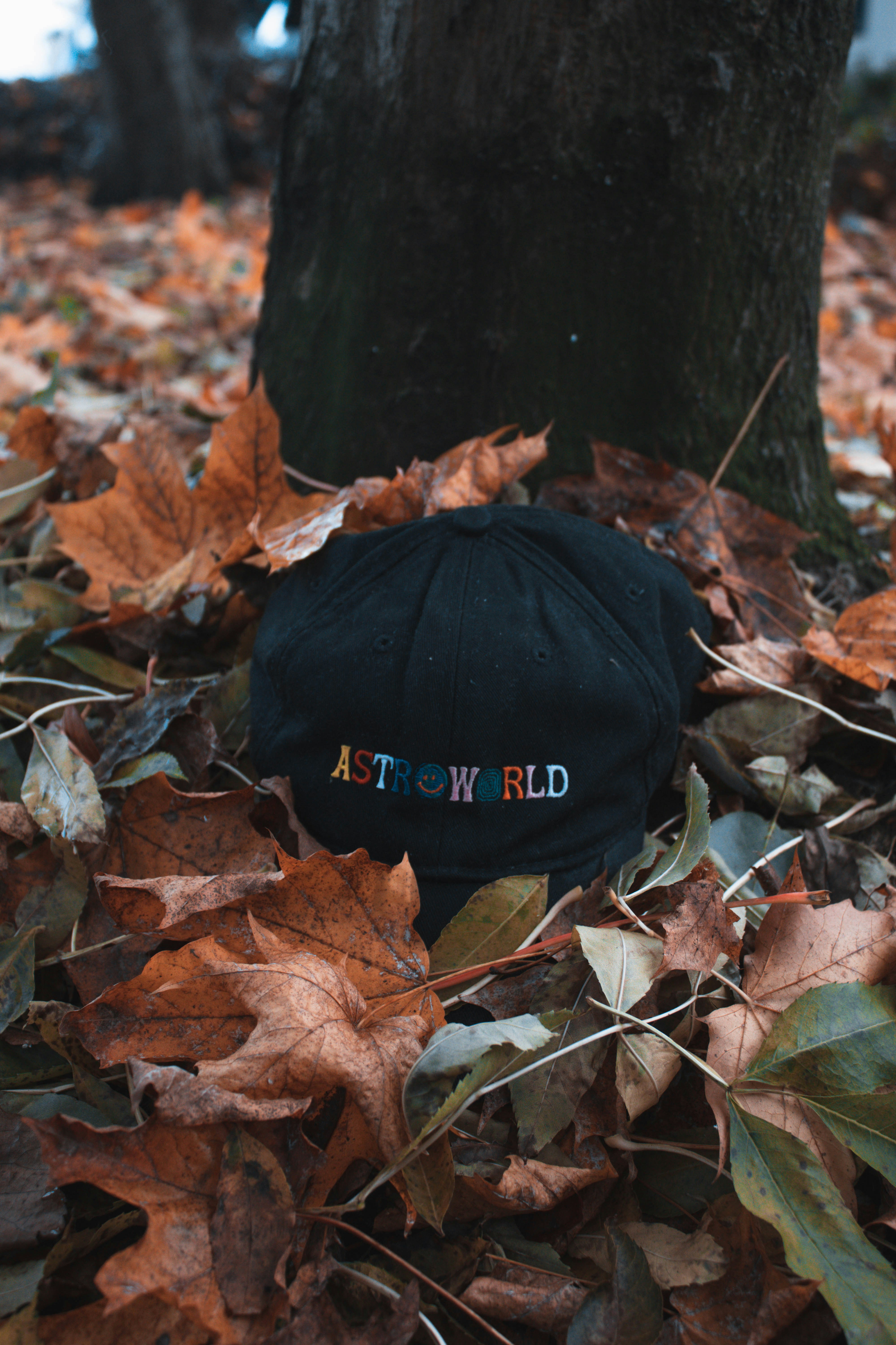 Autumn Under the Cap: Multicolor ASTROWORLD Nestled in Leaf-Litter