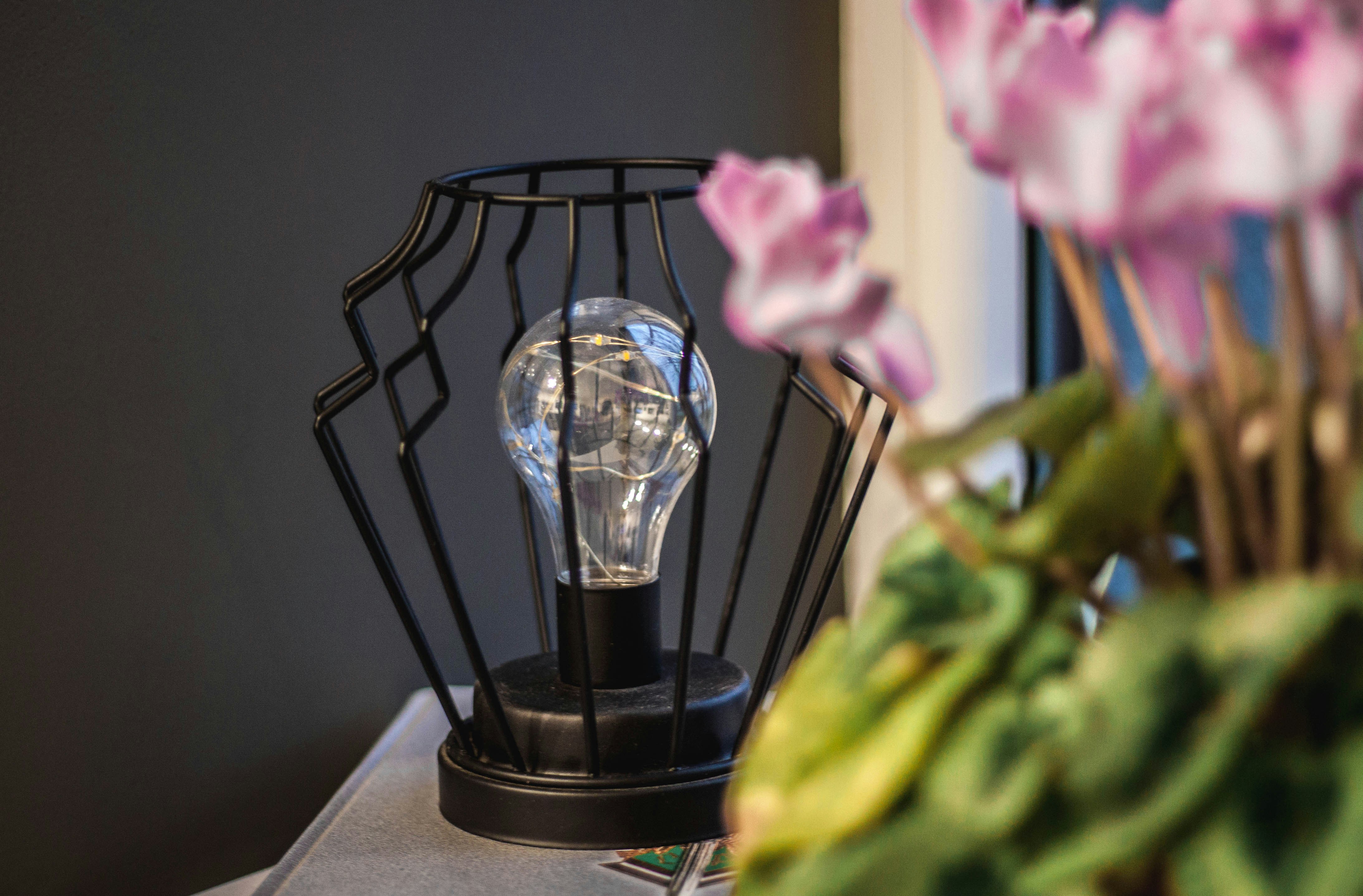 Gentle Illumination: A Modern Lamp Encircled by Flora