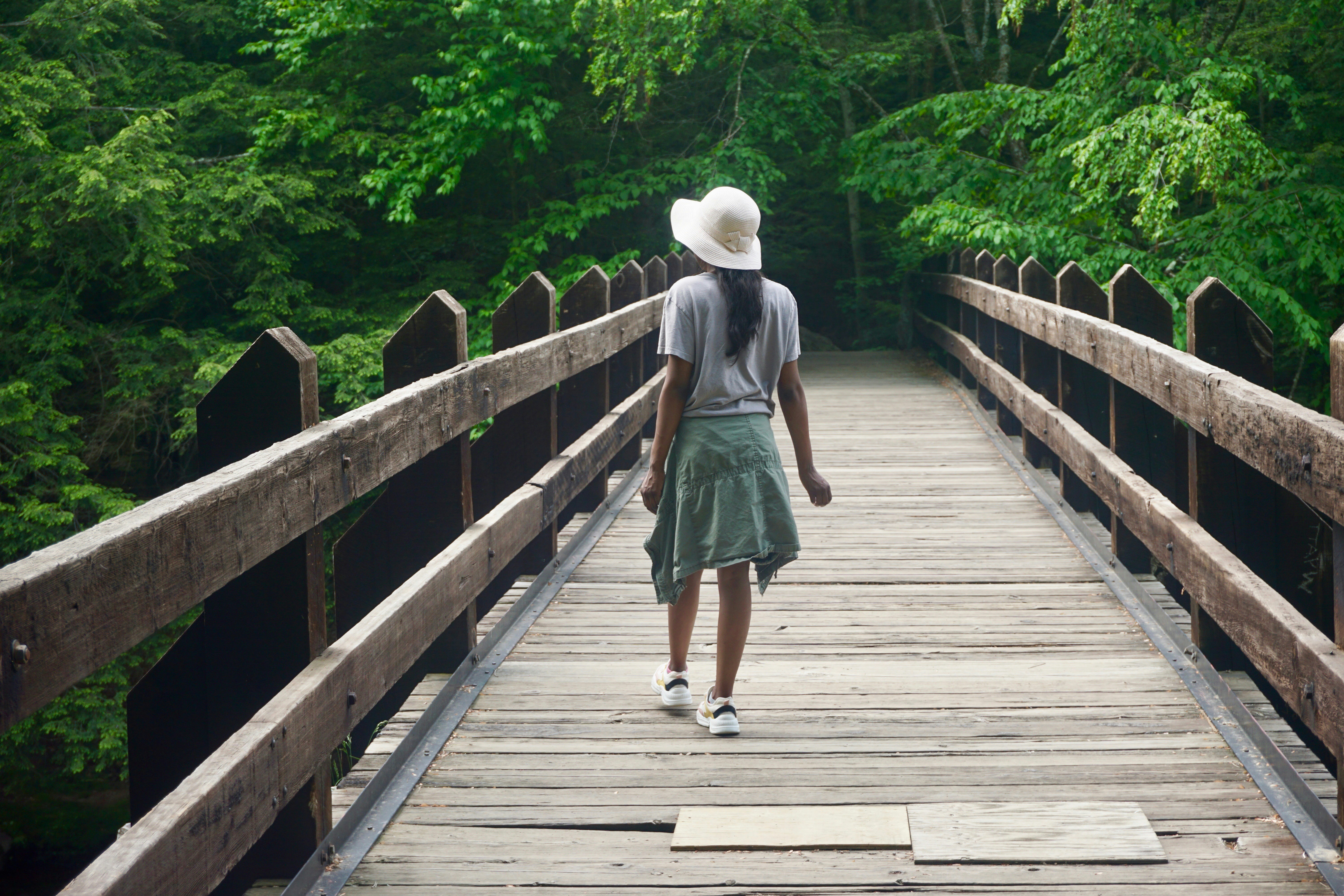 Walking the wooden bridge toward a green canopy
