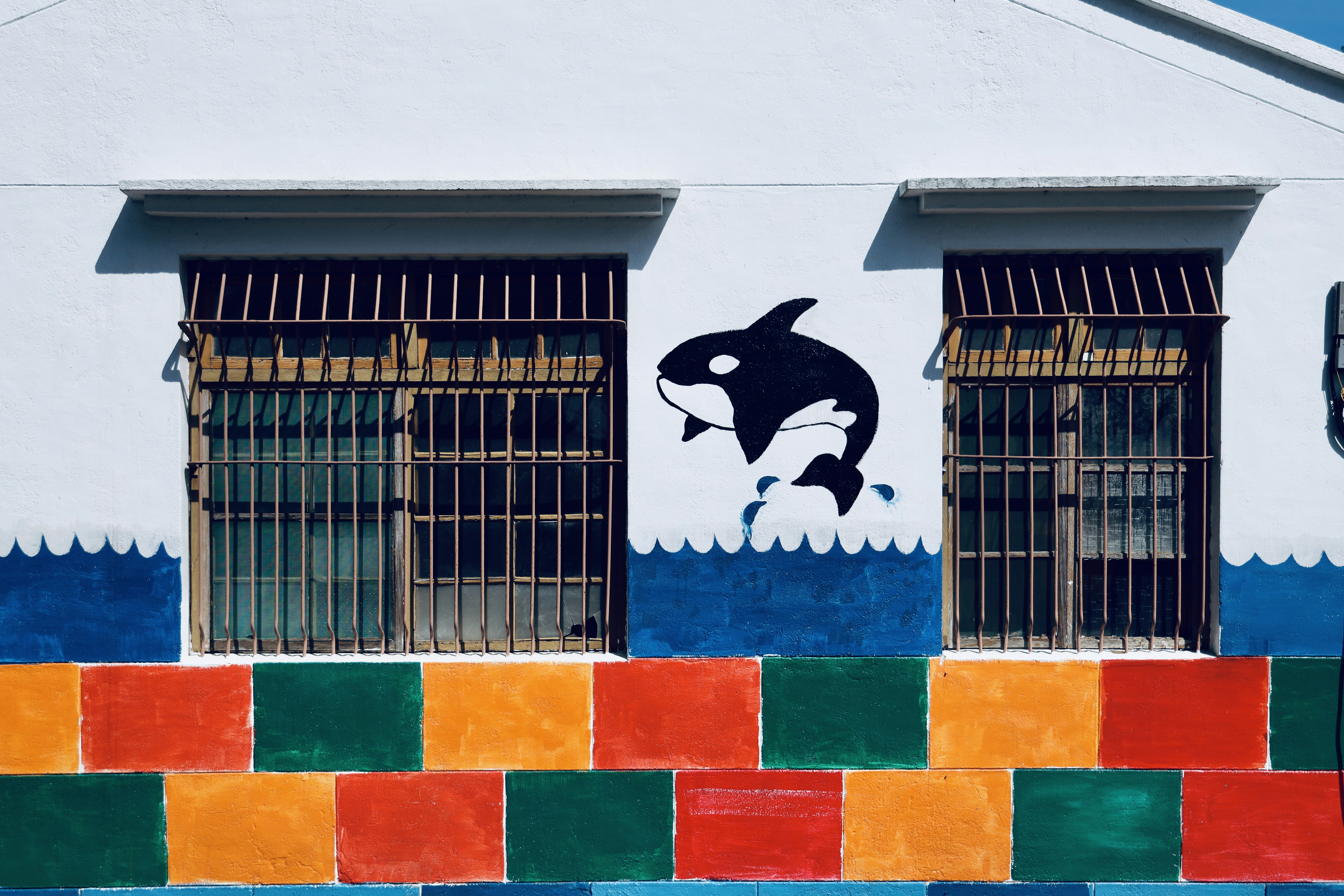 killer whale wall art