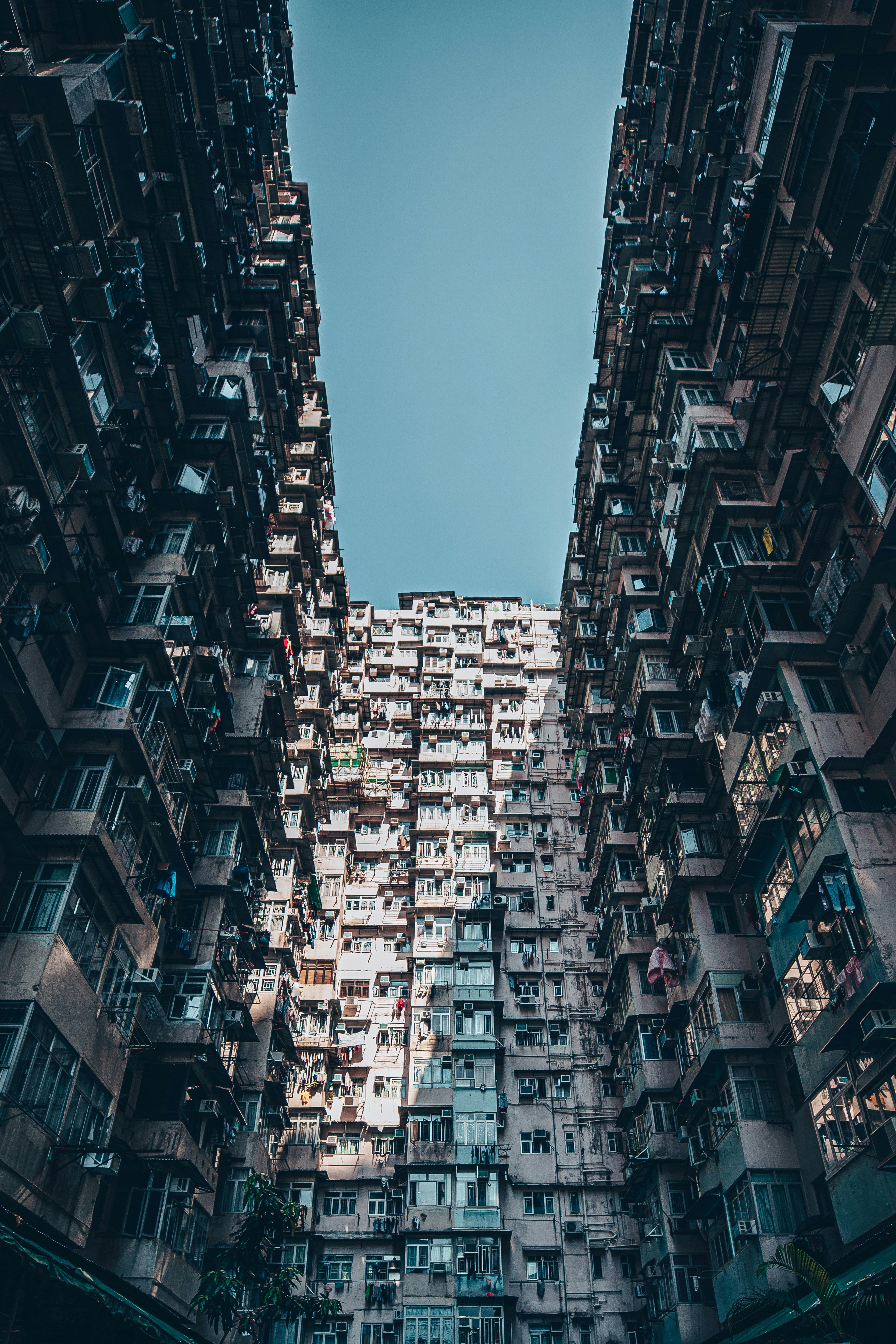 Crowded Office Pictures | Download Free Images on Unsplash