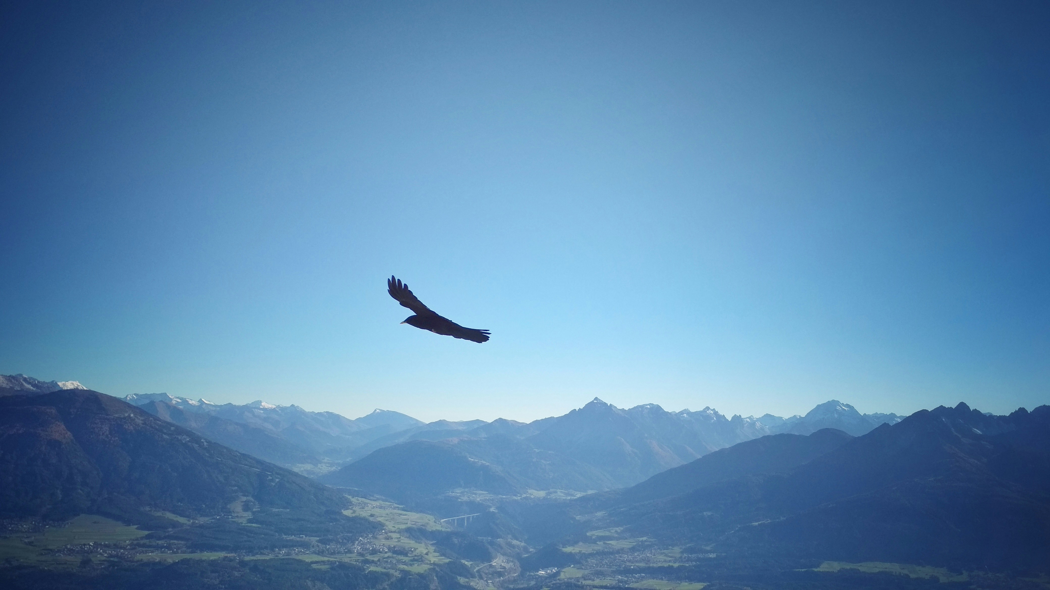 Winged silhouette over a quiet alpine horizon