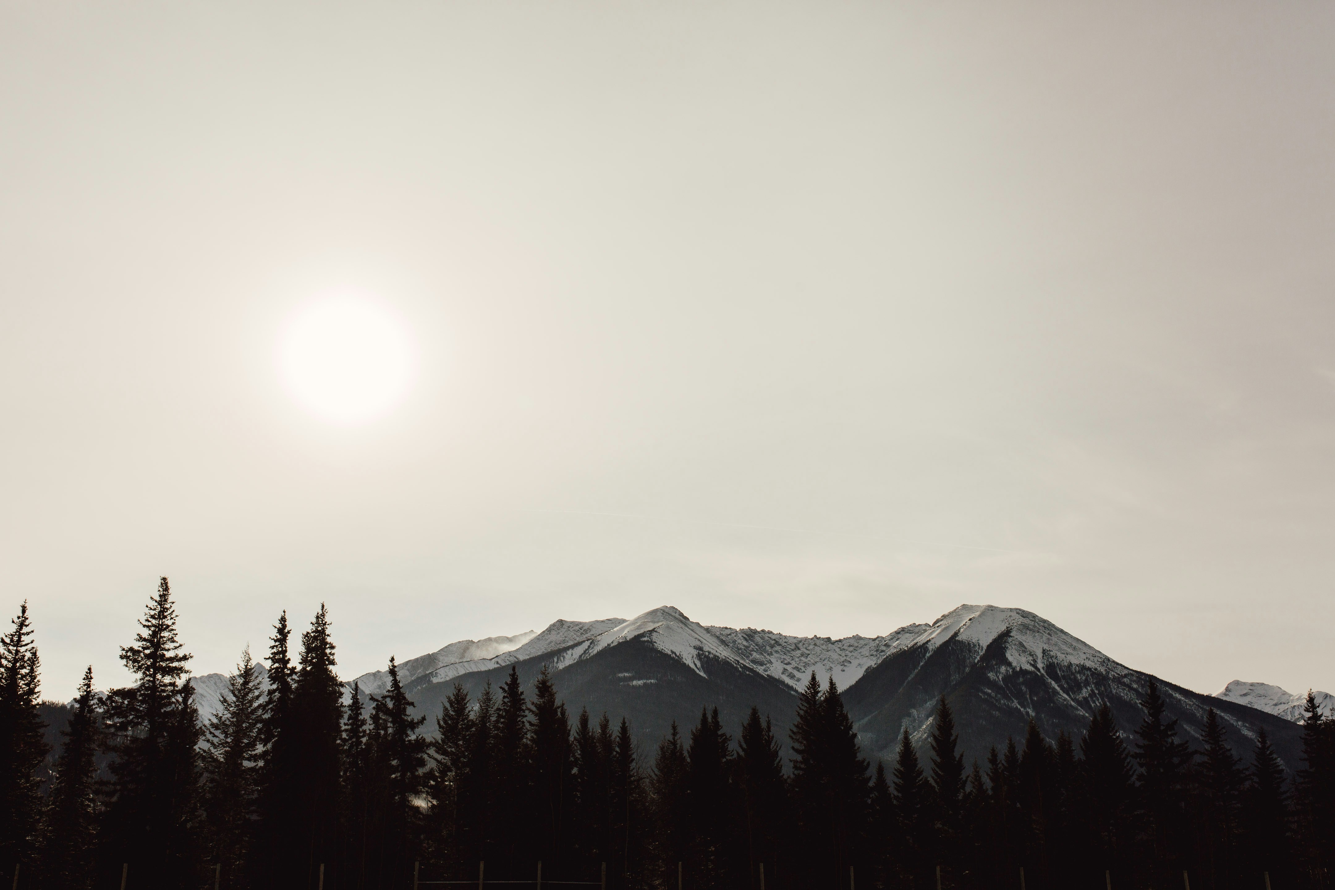 Pale Sun Over Snow-Dusted Peaks Beyond the Pine Line