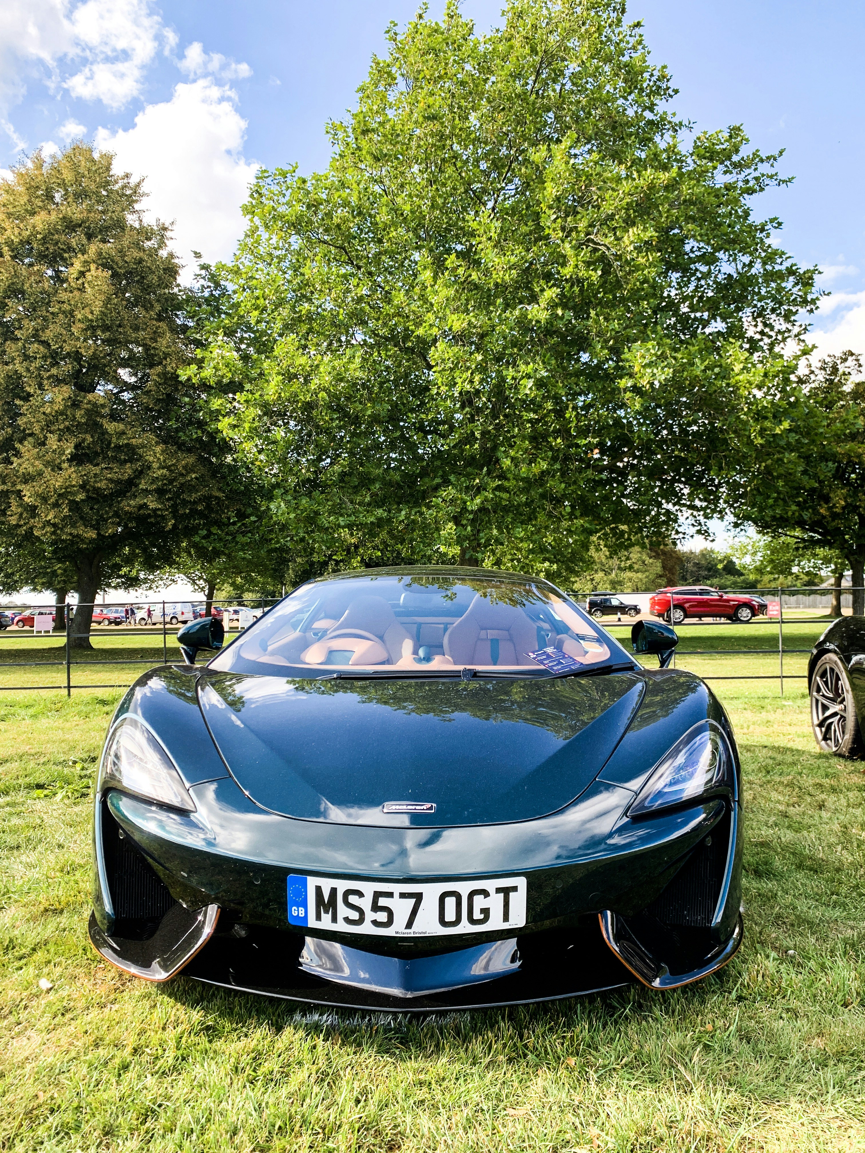 Low-slung Viper-like supercar glows under park trees