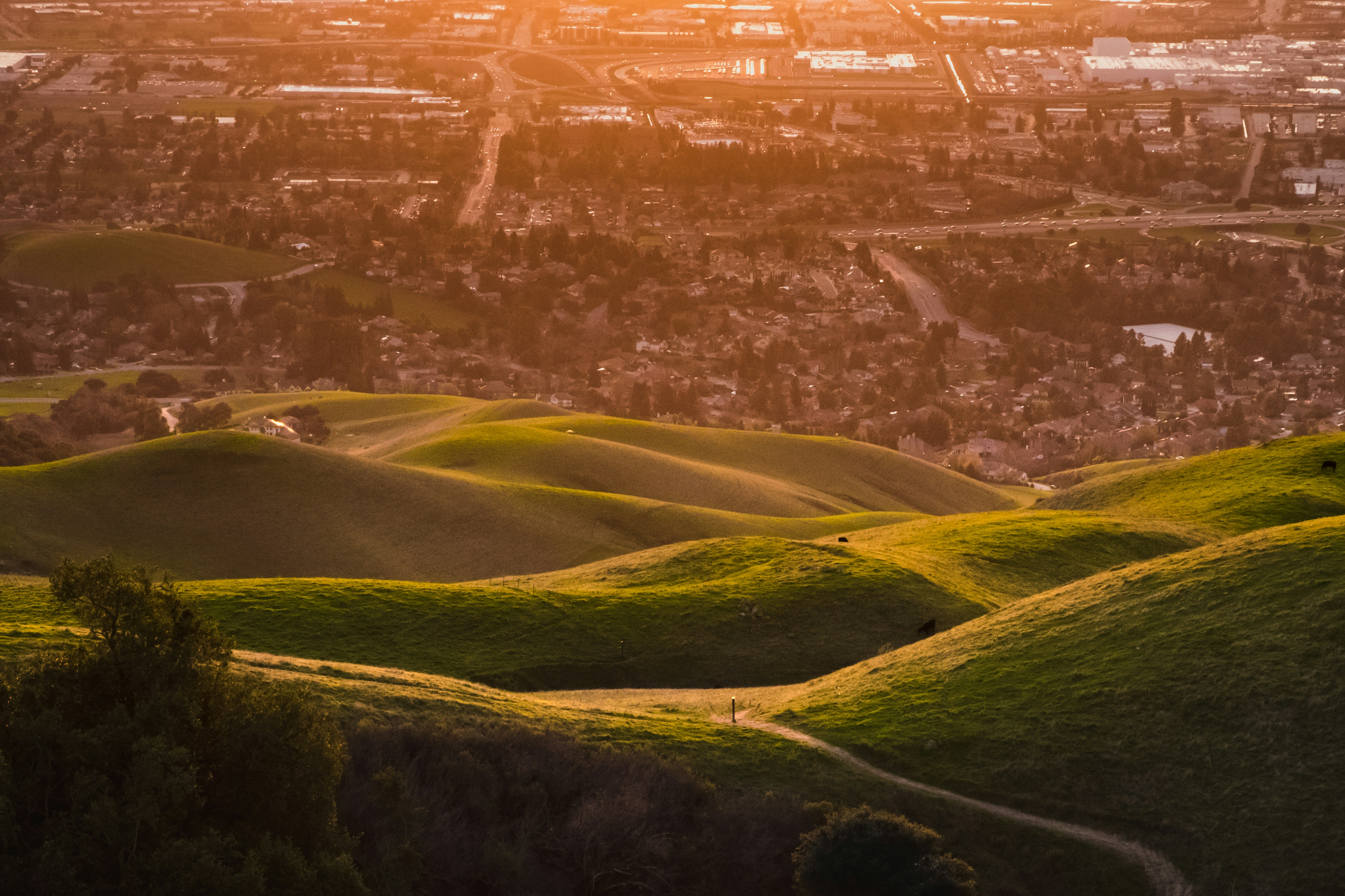 Michael Yuan (@ilikecalculus) | Comunidade de fotos da Unsplash