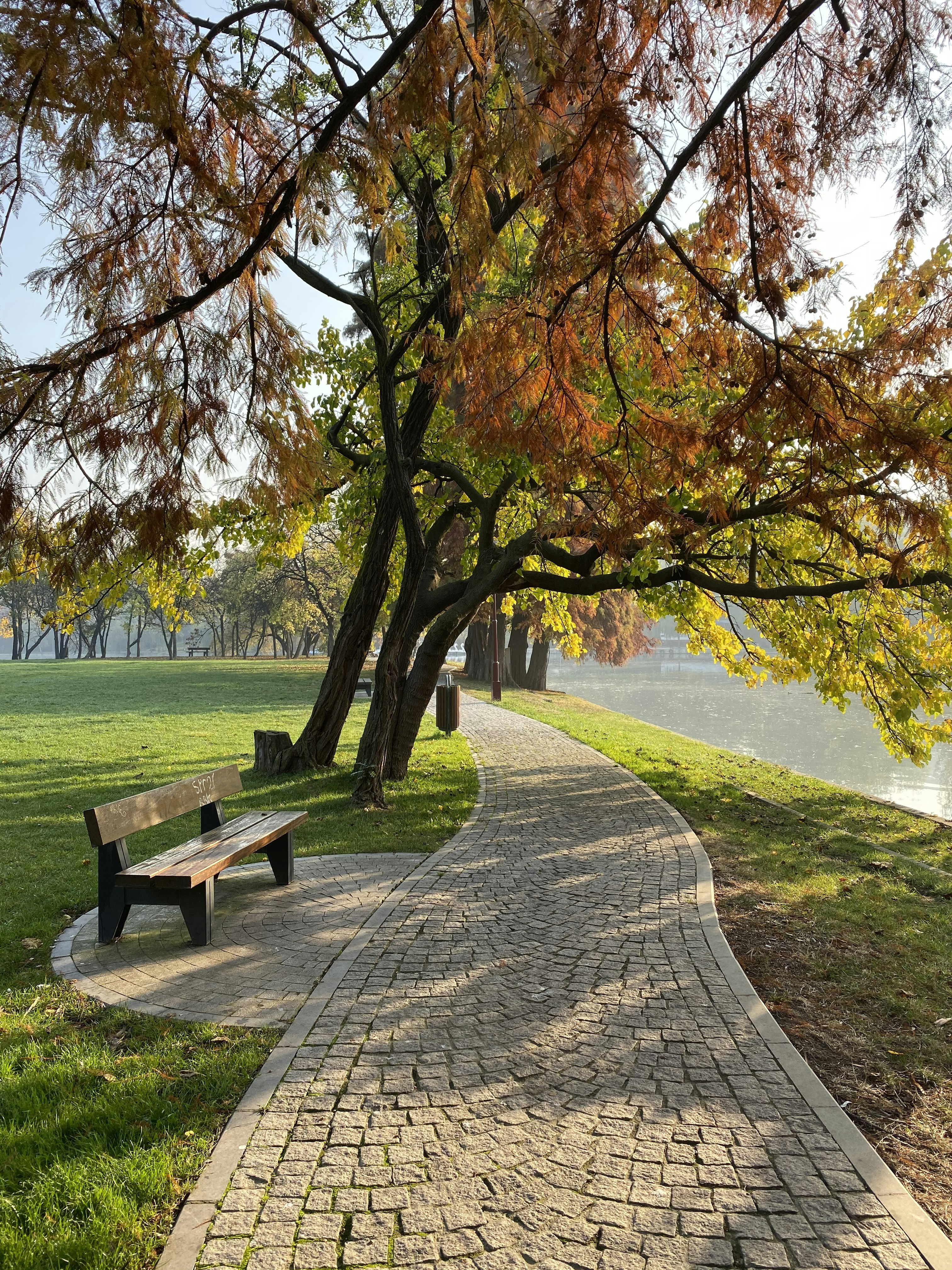 Strada Baba Novac Photos | Télécharger des images gratuites sur Unsplash