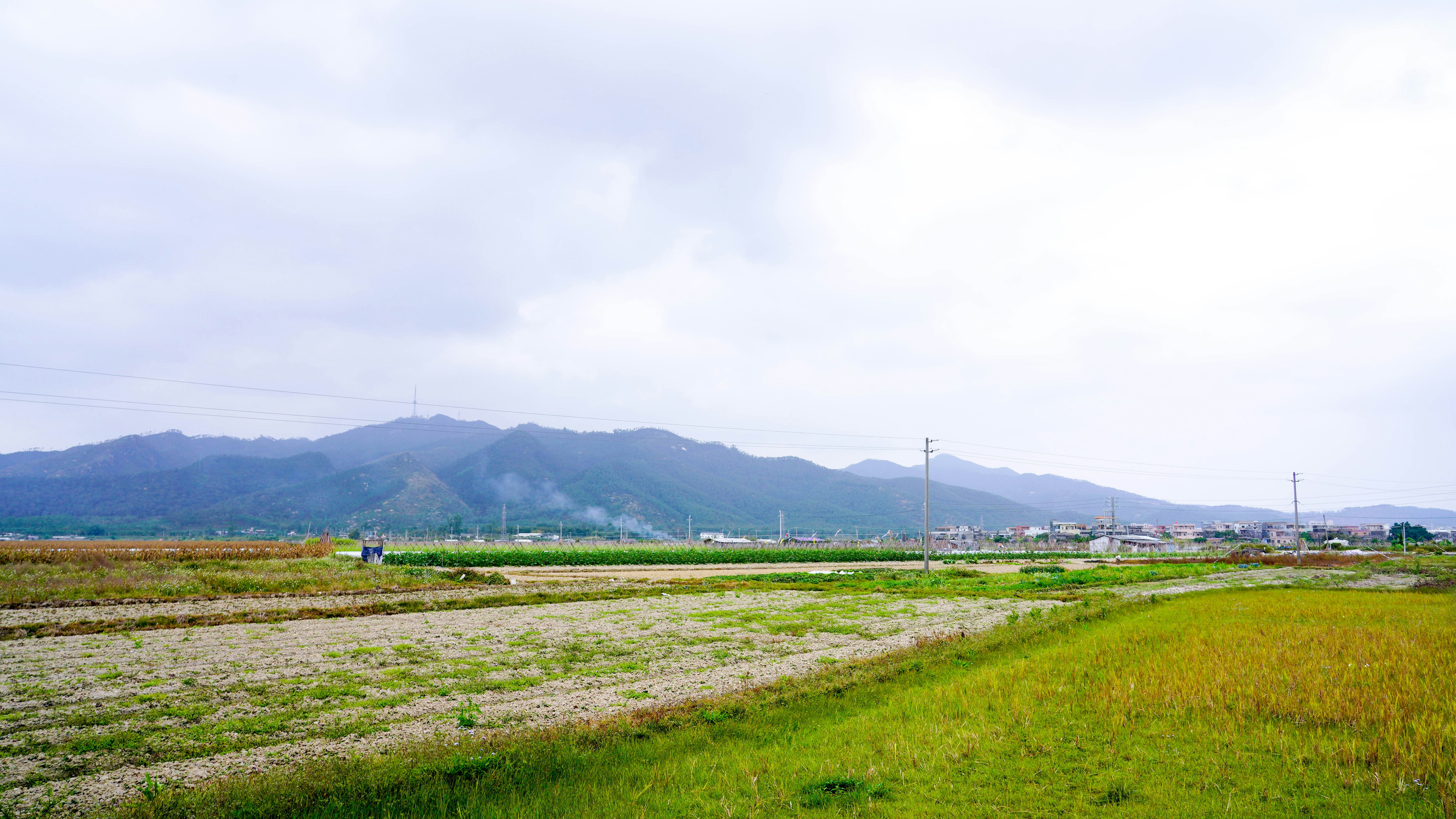 Lush green fields stretch towards distant mountains under a cloudy sky, capturing the serene essence of rural life. The scene highlights the harmony between agriculture and nature.