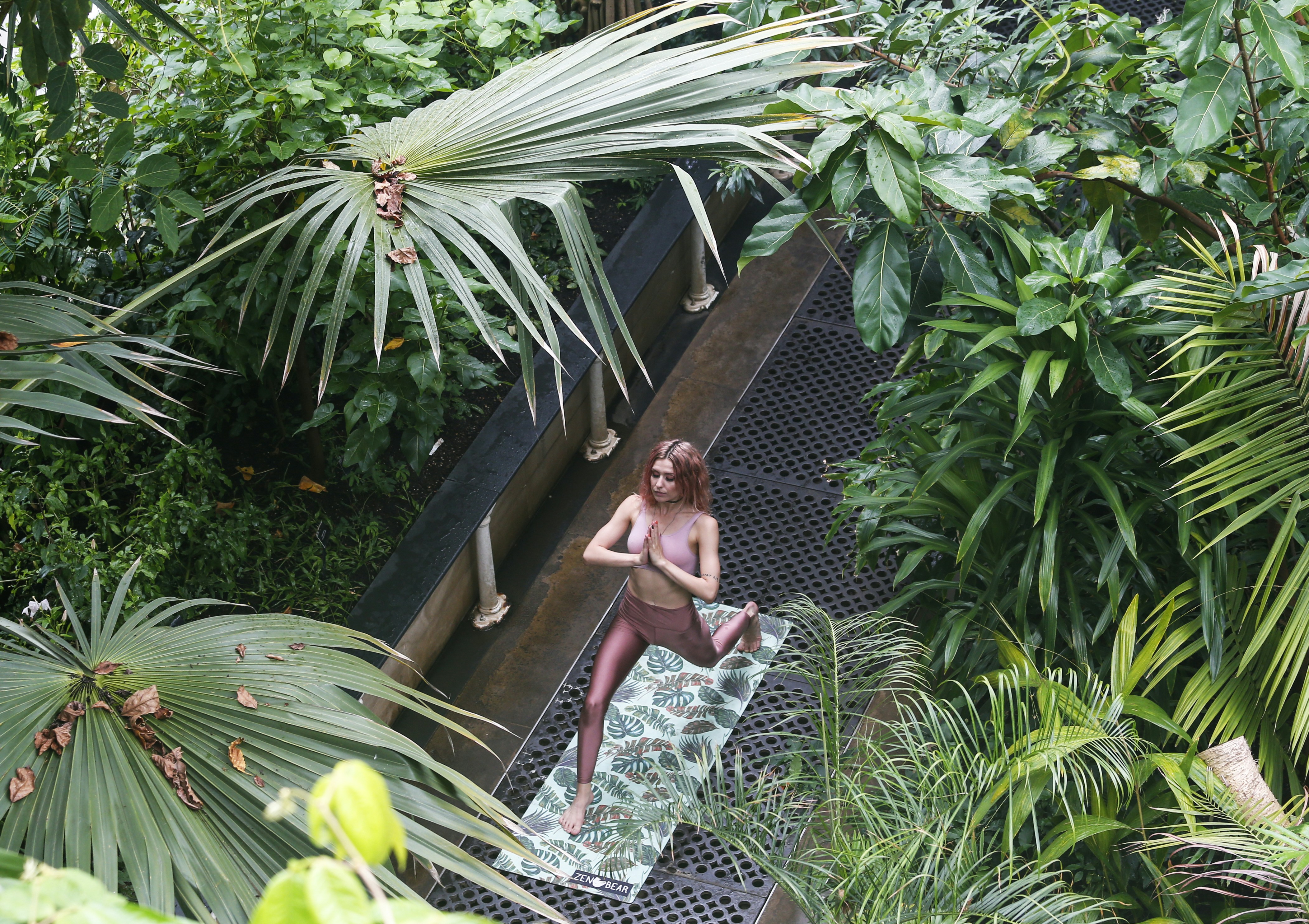 Zen Bear Yoga (@zenbear) | Comunidad de fotos de Unsplash