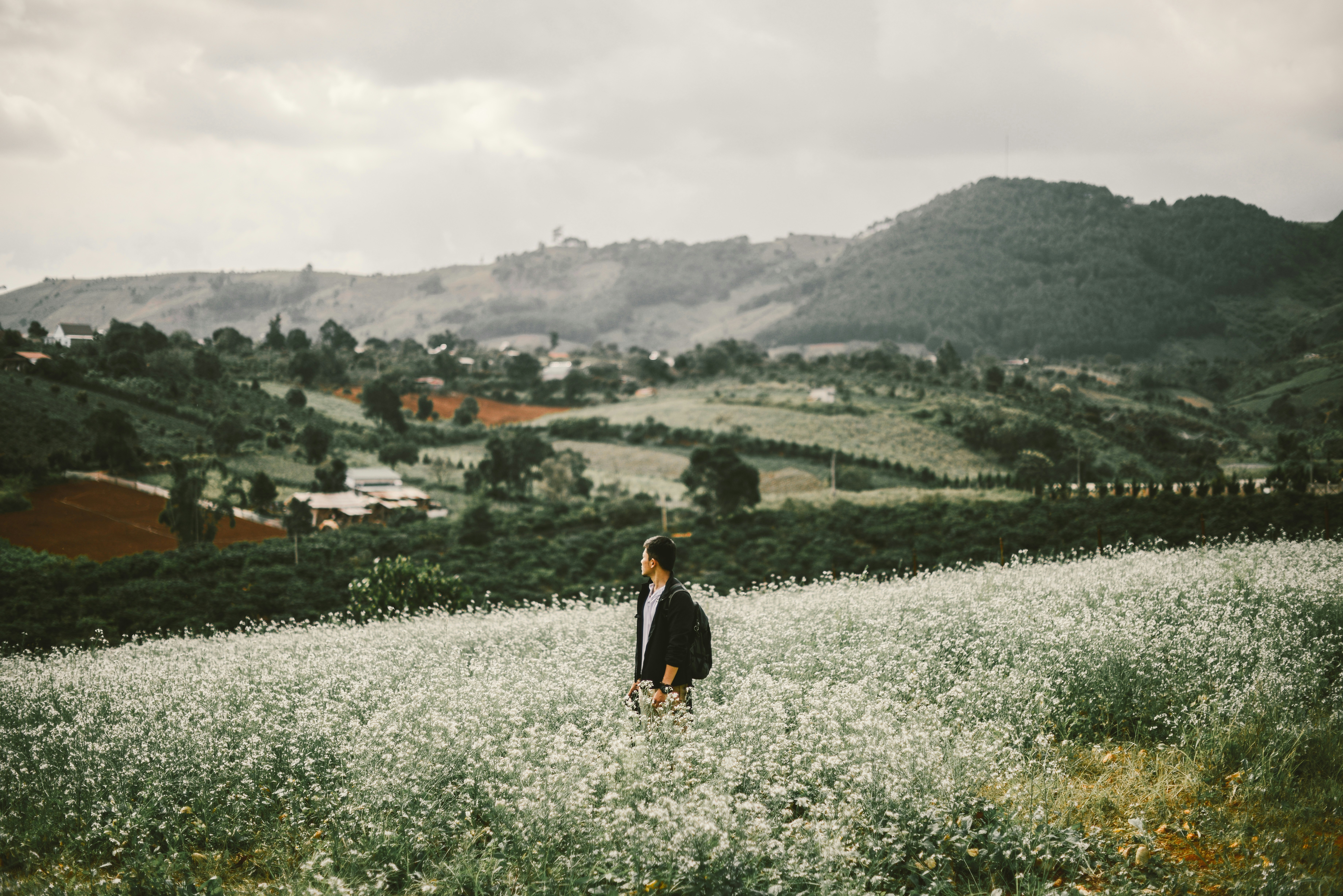 man standing surrounded with white flowers during daytime