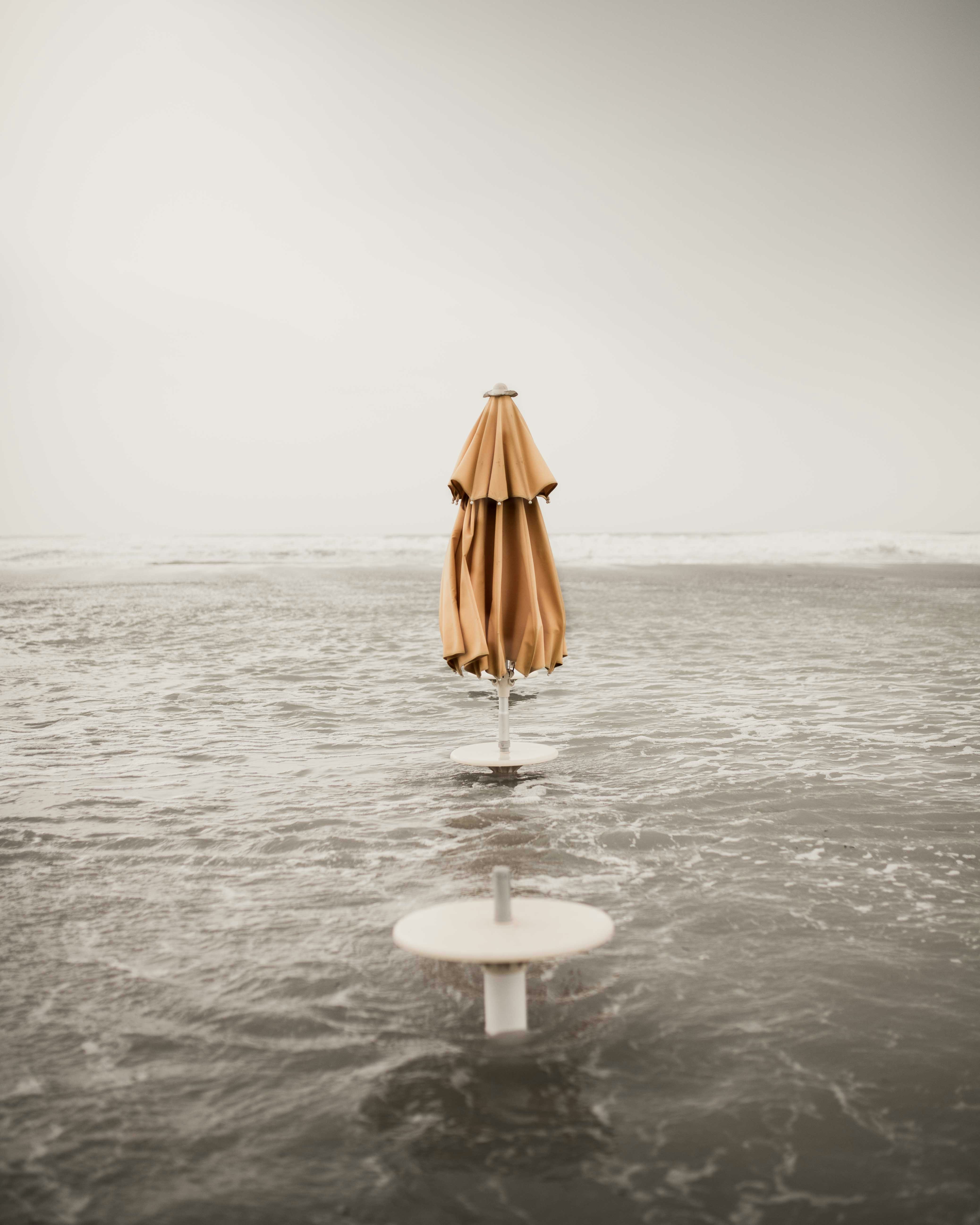 Solitary Umbrella Rising from a Quiet Tidal Field